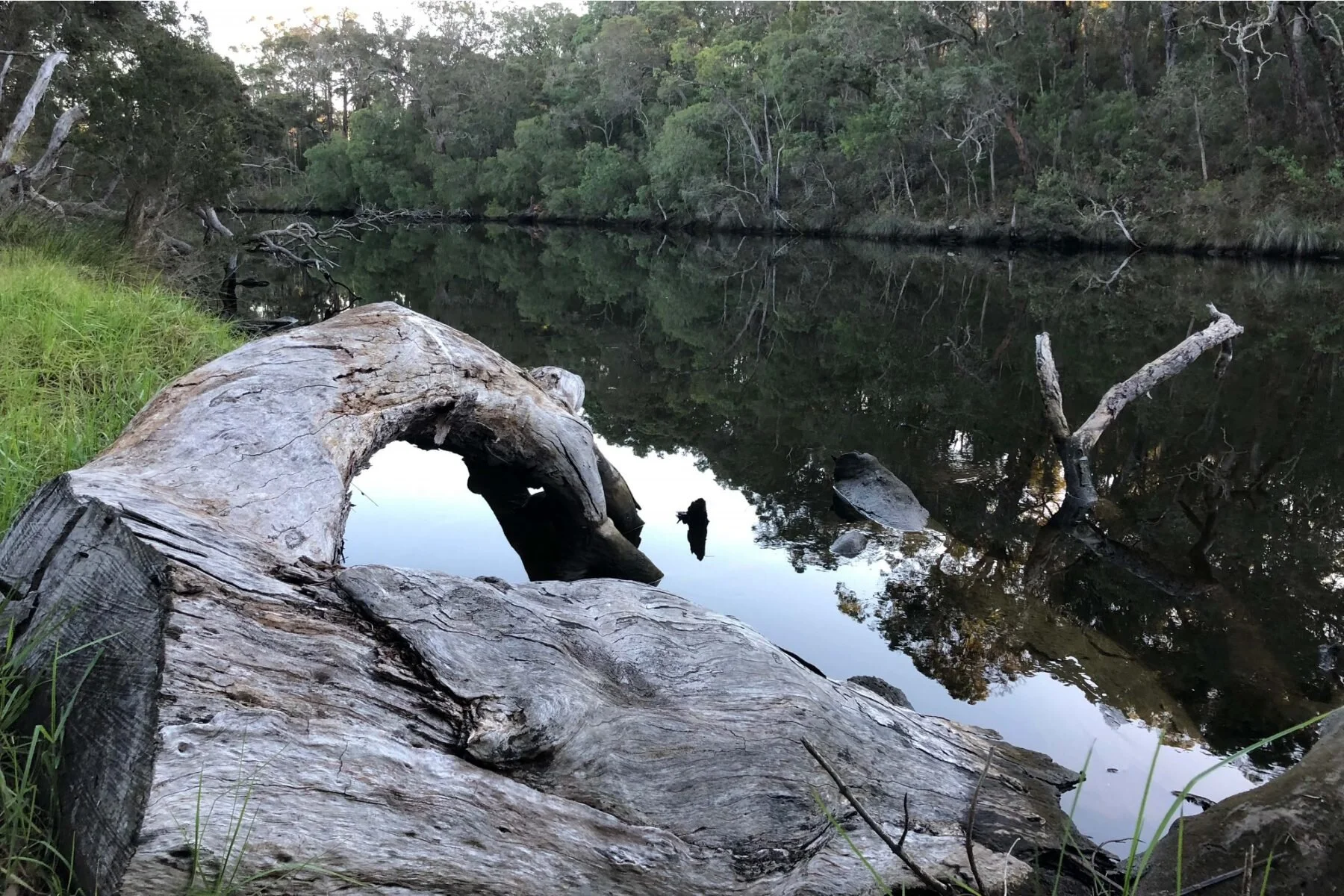 Eco Tours — Great Southern Outback Tours & Accommodation