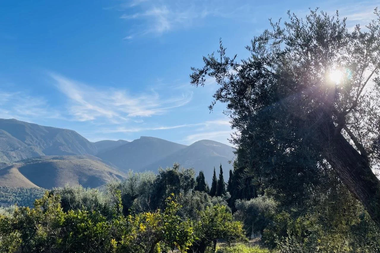 Take part — Move Dance Feel