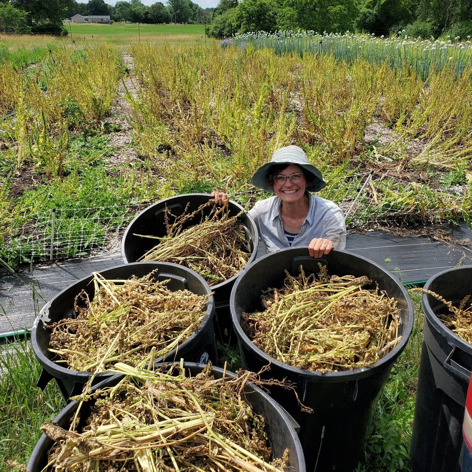 Green Things Farm Collective