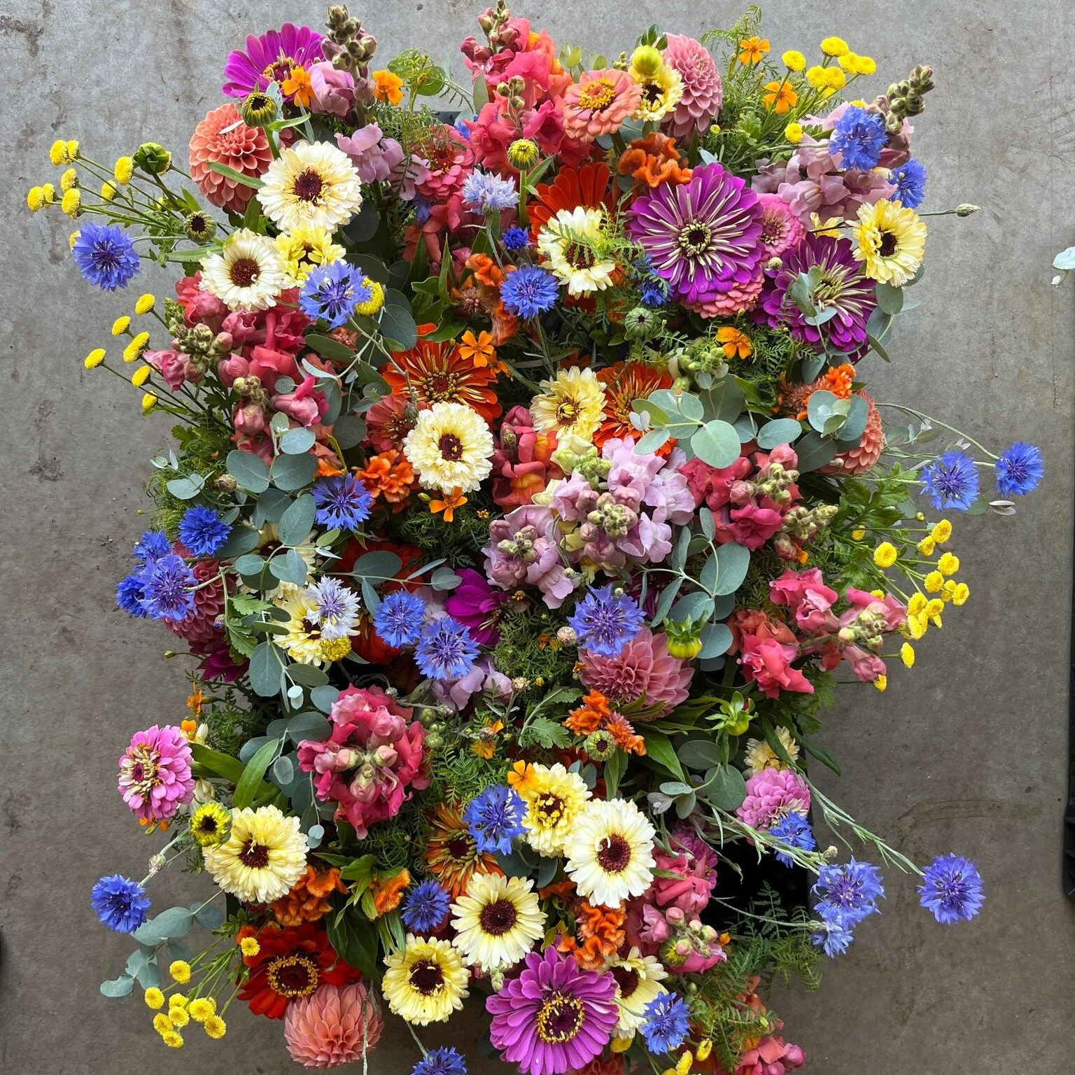 Green Things Farm Collective