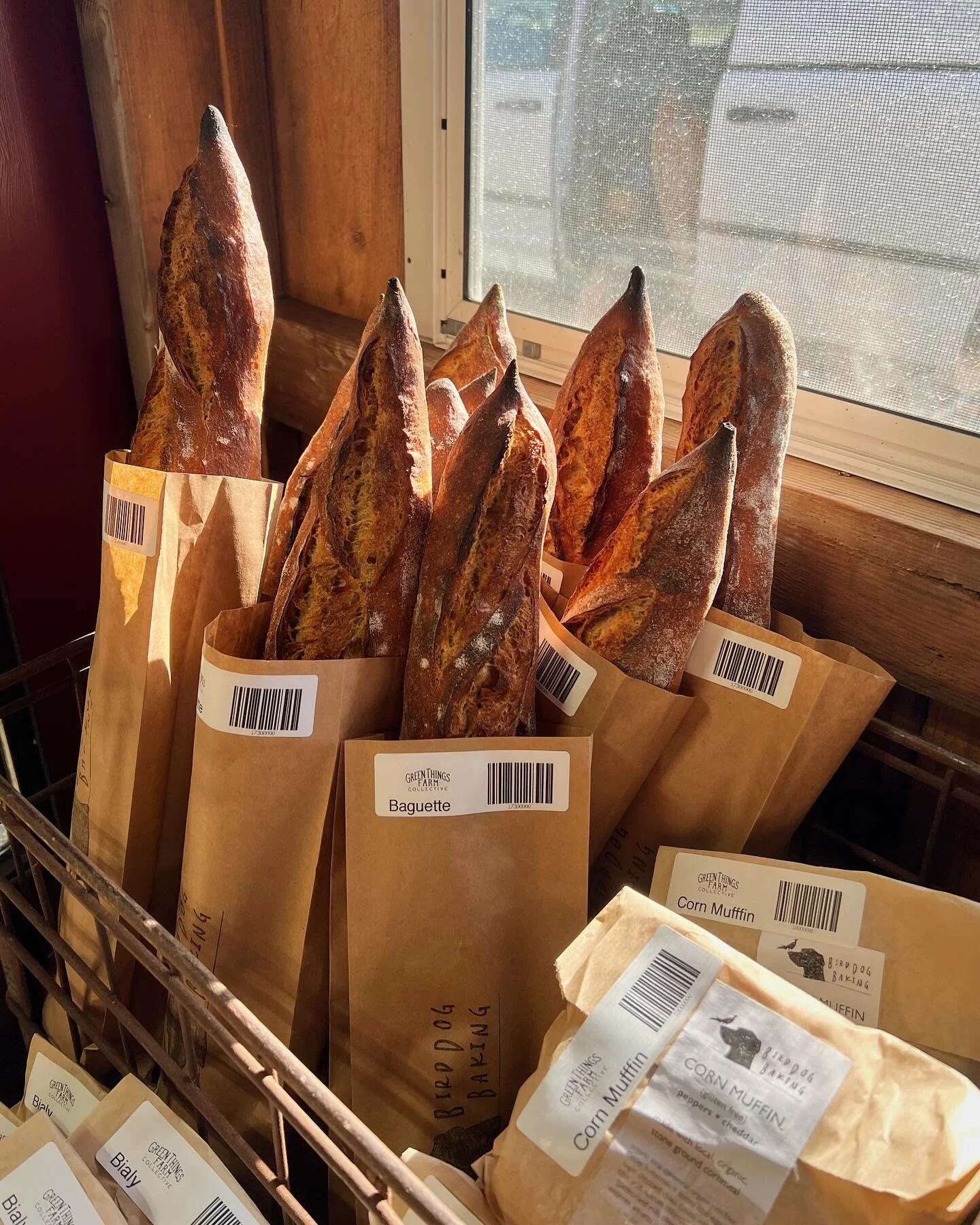 Green Things Farm Collective