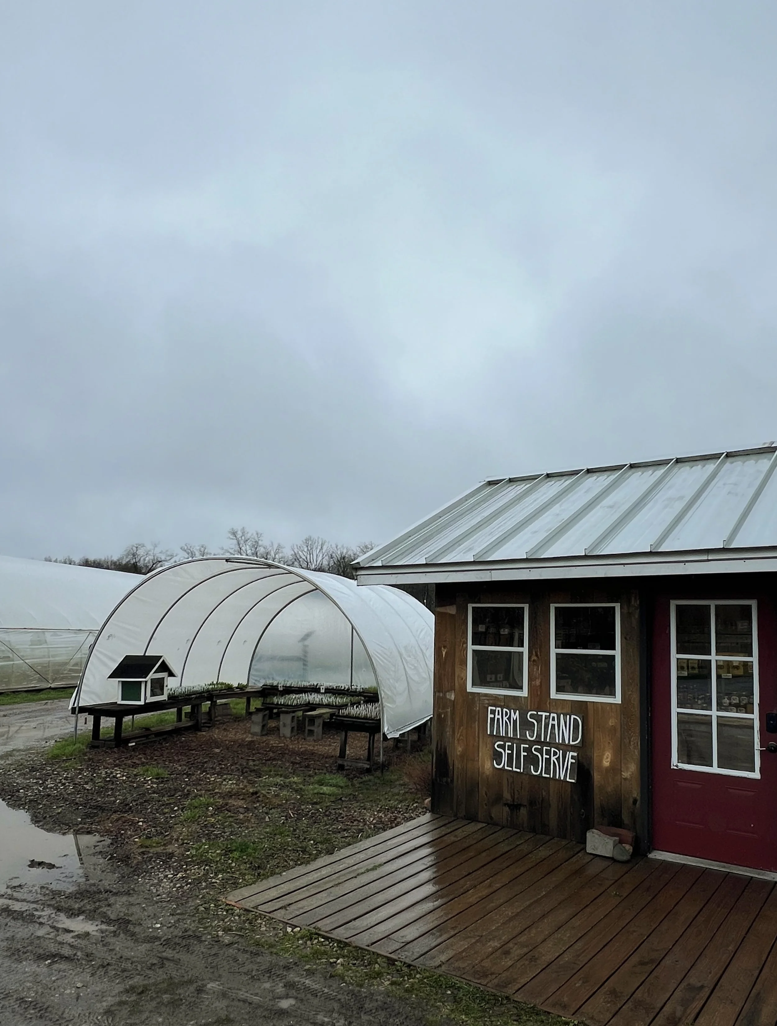 Green Things Farm Collective