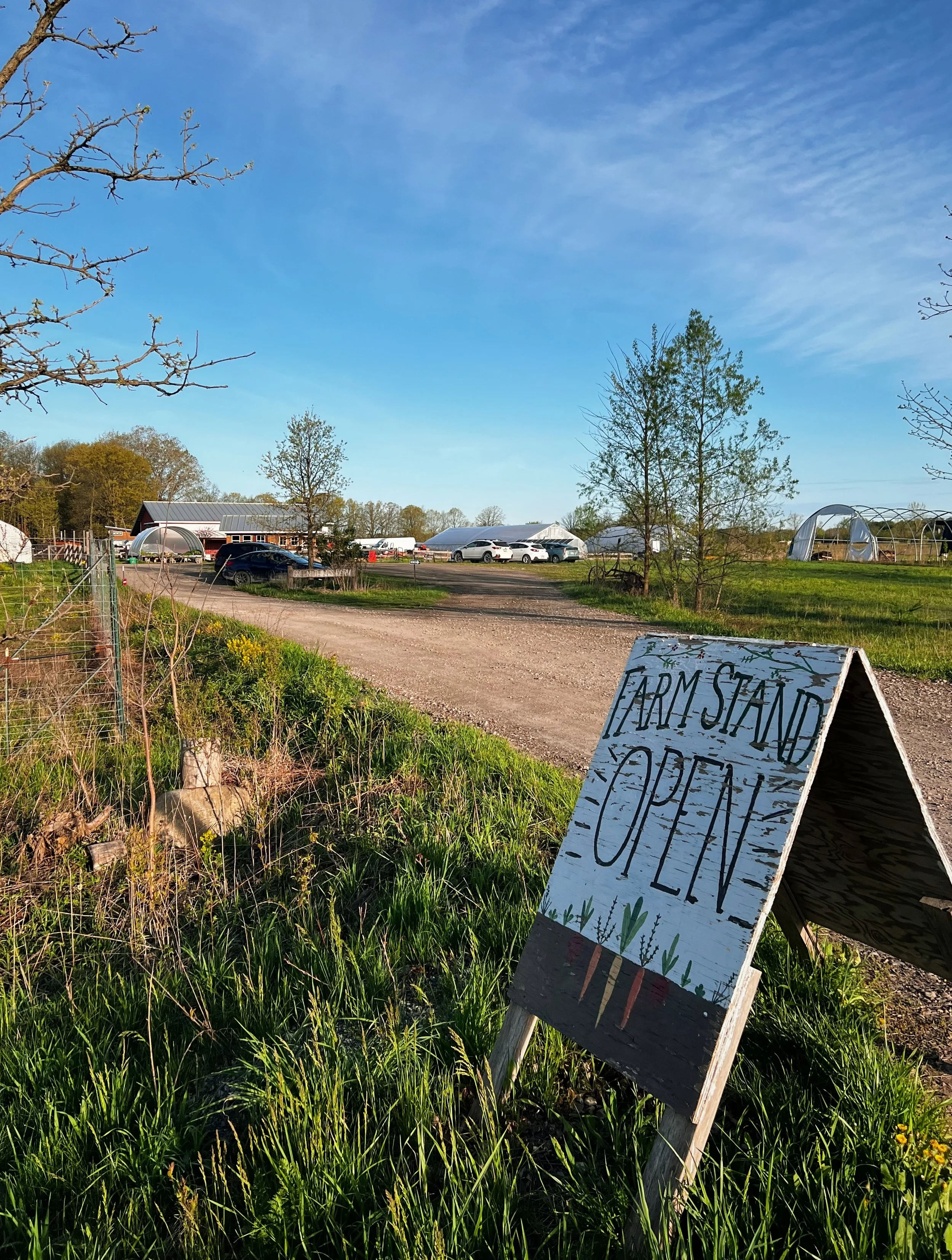 Green Things Farm Collective