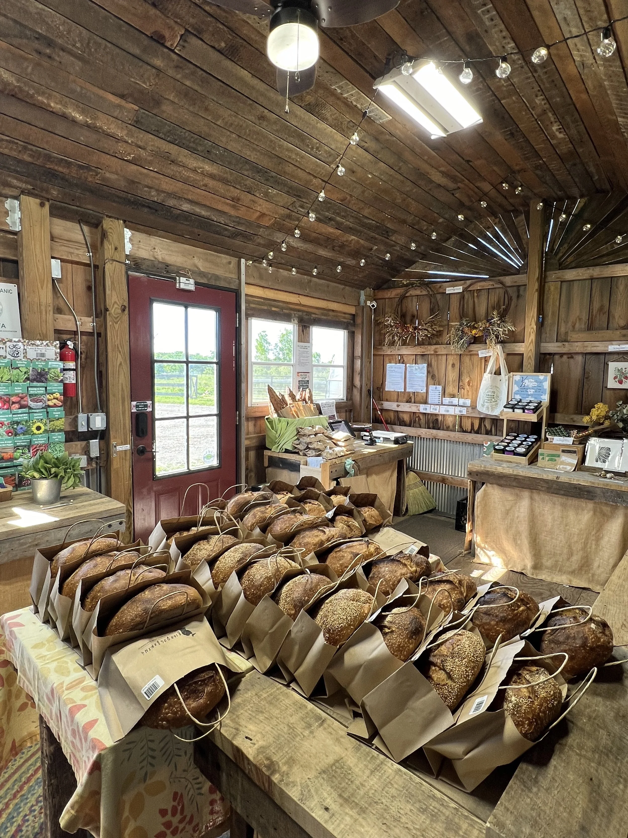 Green Things Farm Collective