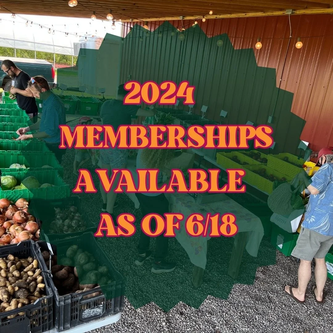 Green Things Farm Collective