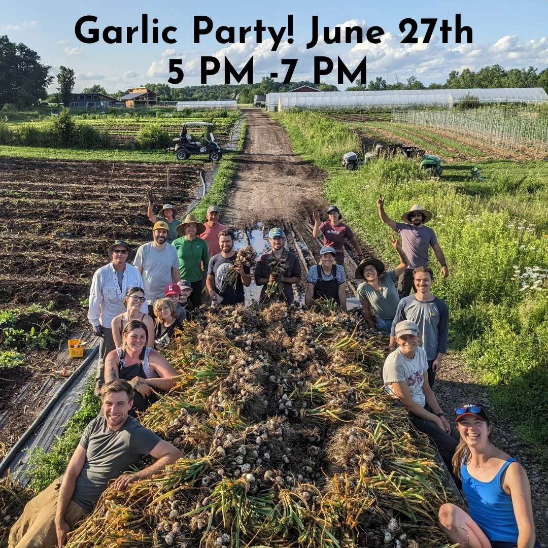 Green Things Farm Collective