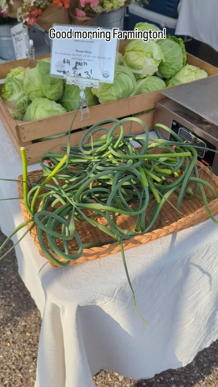 Green Things Farm Collective