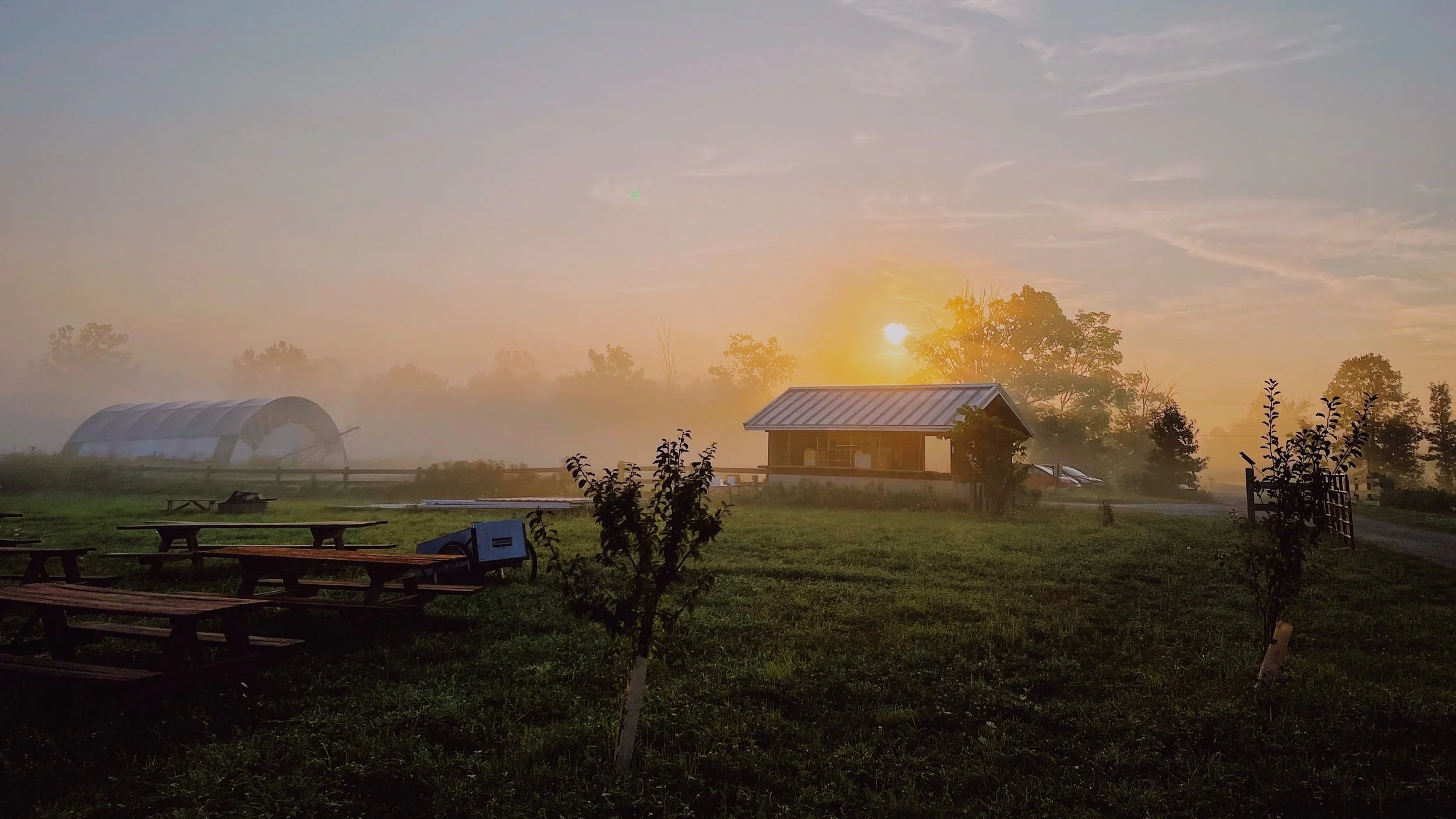 Green Things Farm Collective