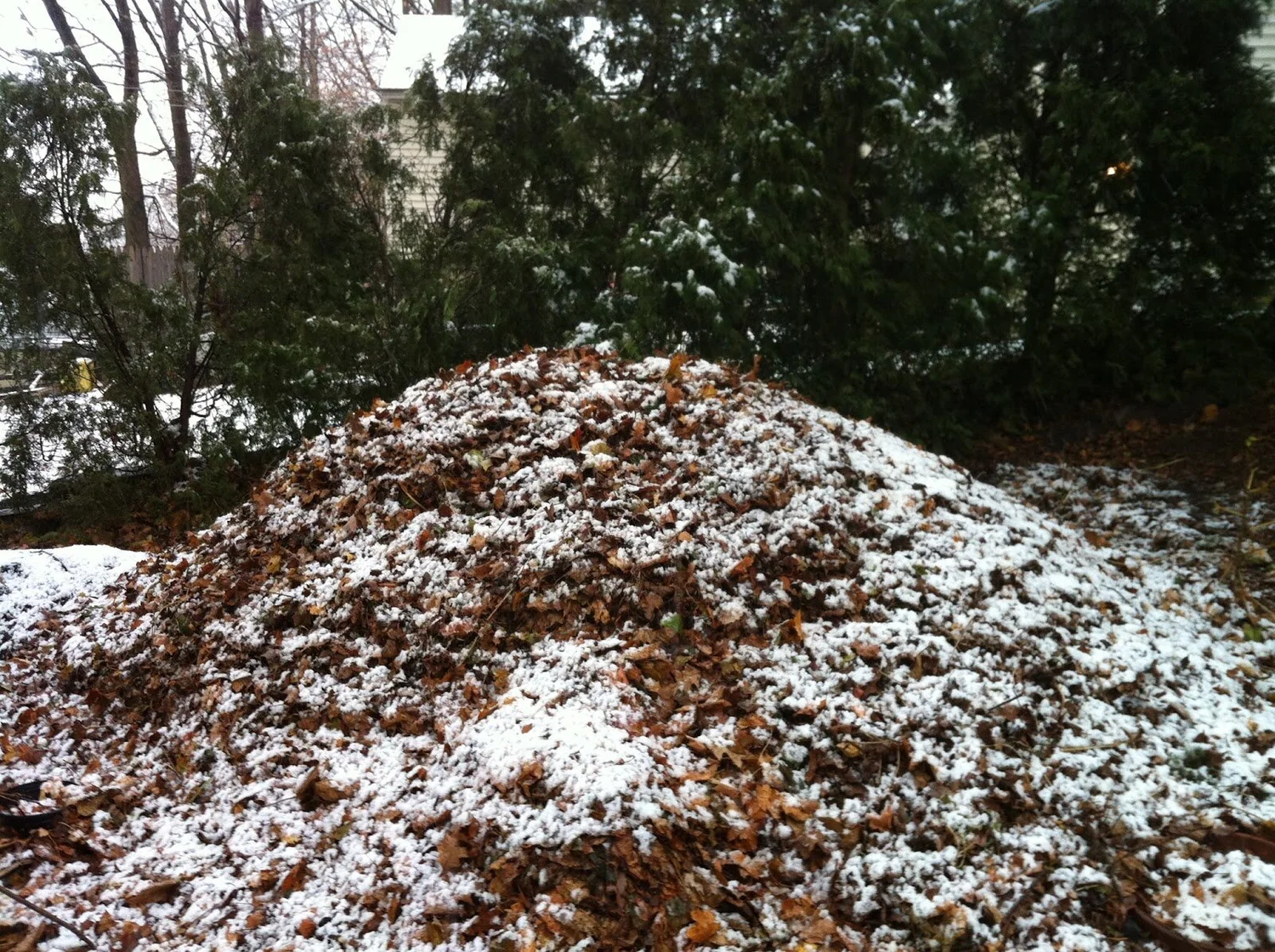 Overwintering Compost — Mountain Roots Food Project