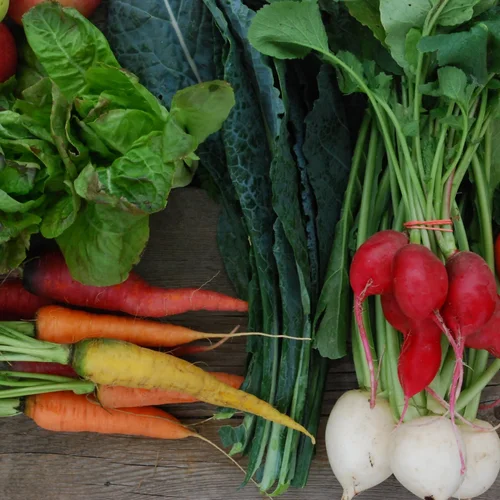 CSA — Mountain Roots Food Project