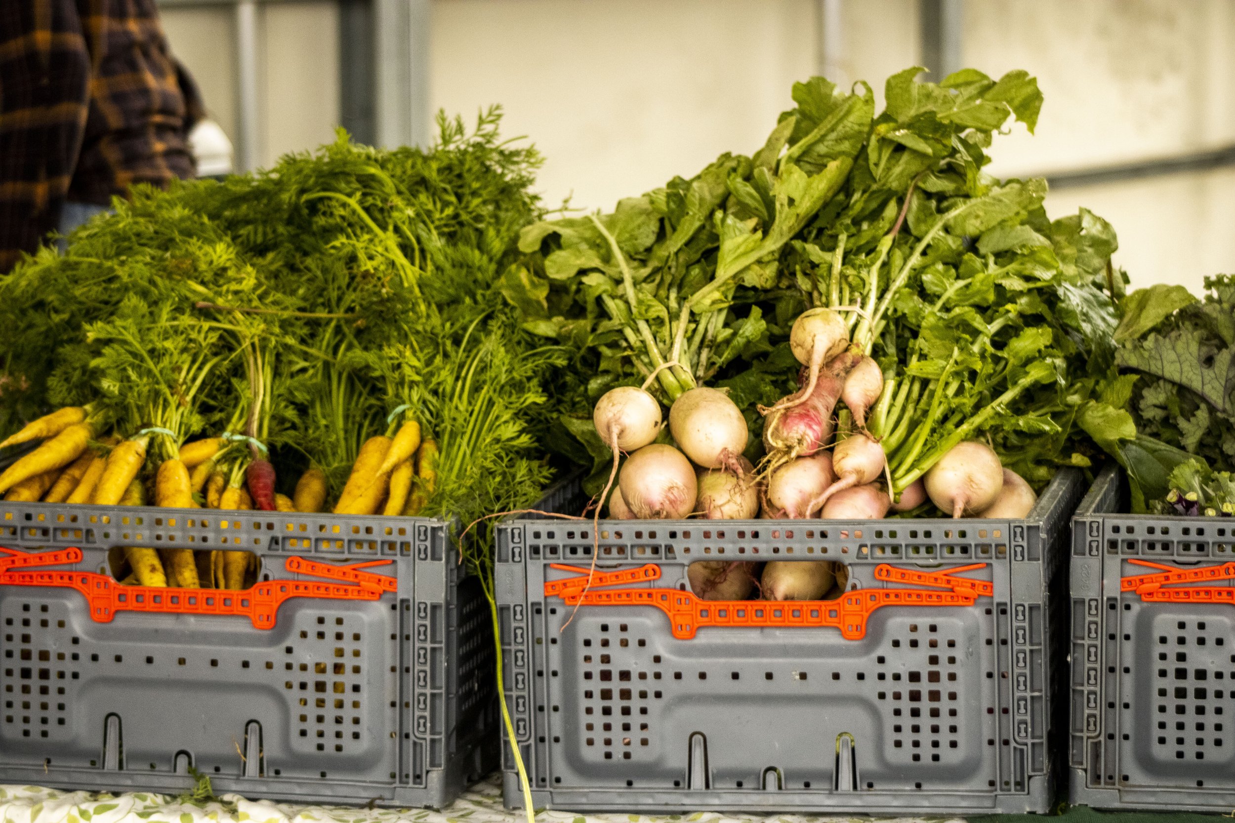 CSA — Mountain Roots Food Project