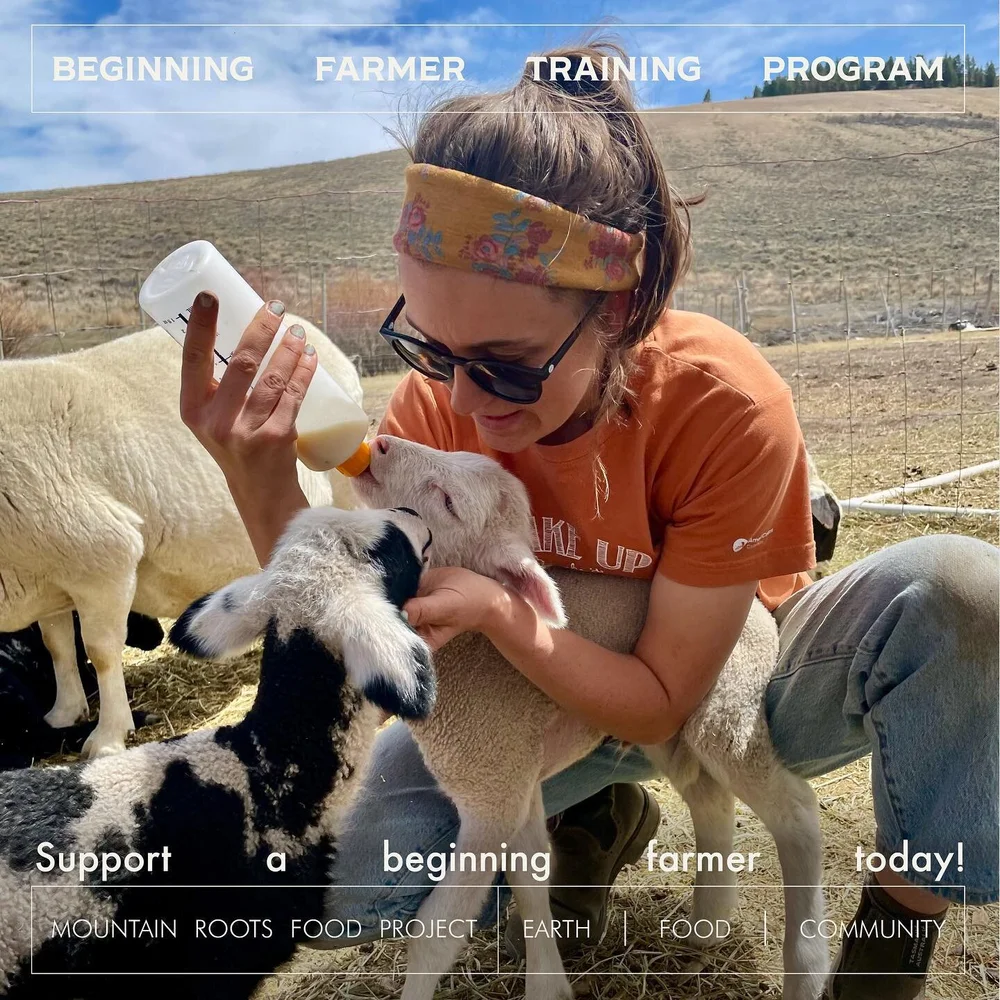 Mountain Roots Food Project