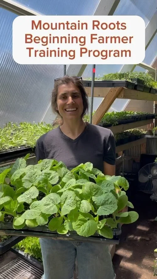 Mountain Roots Food Project