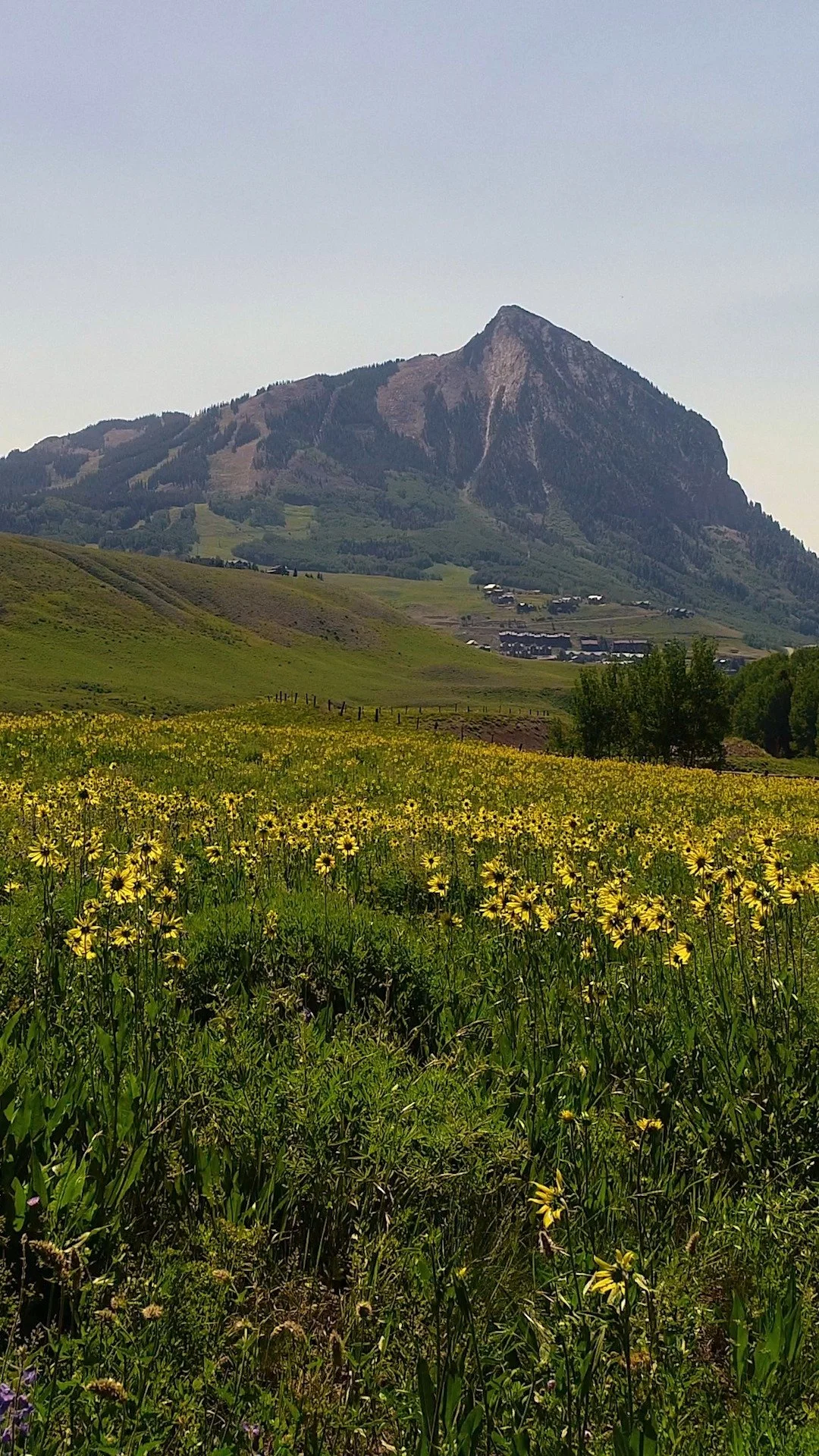 Mountain Roots Food Project
