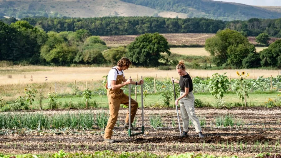 Beginning Farmer Training Program — Mountain Roots Food Project