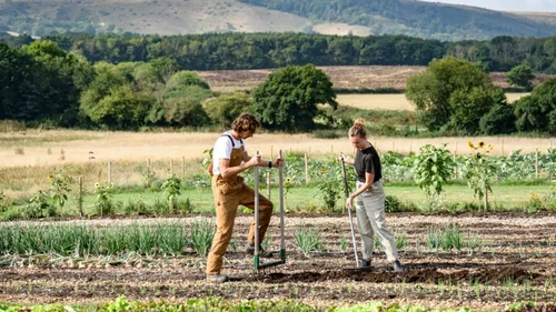 Beginning Farmer Training Program — Mountain Roots Food Project