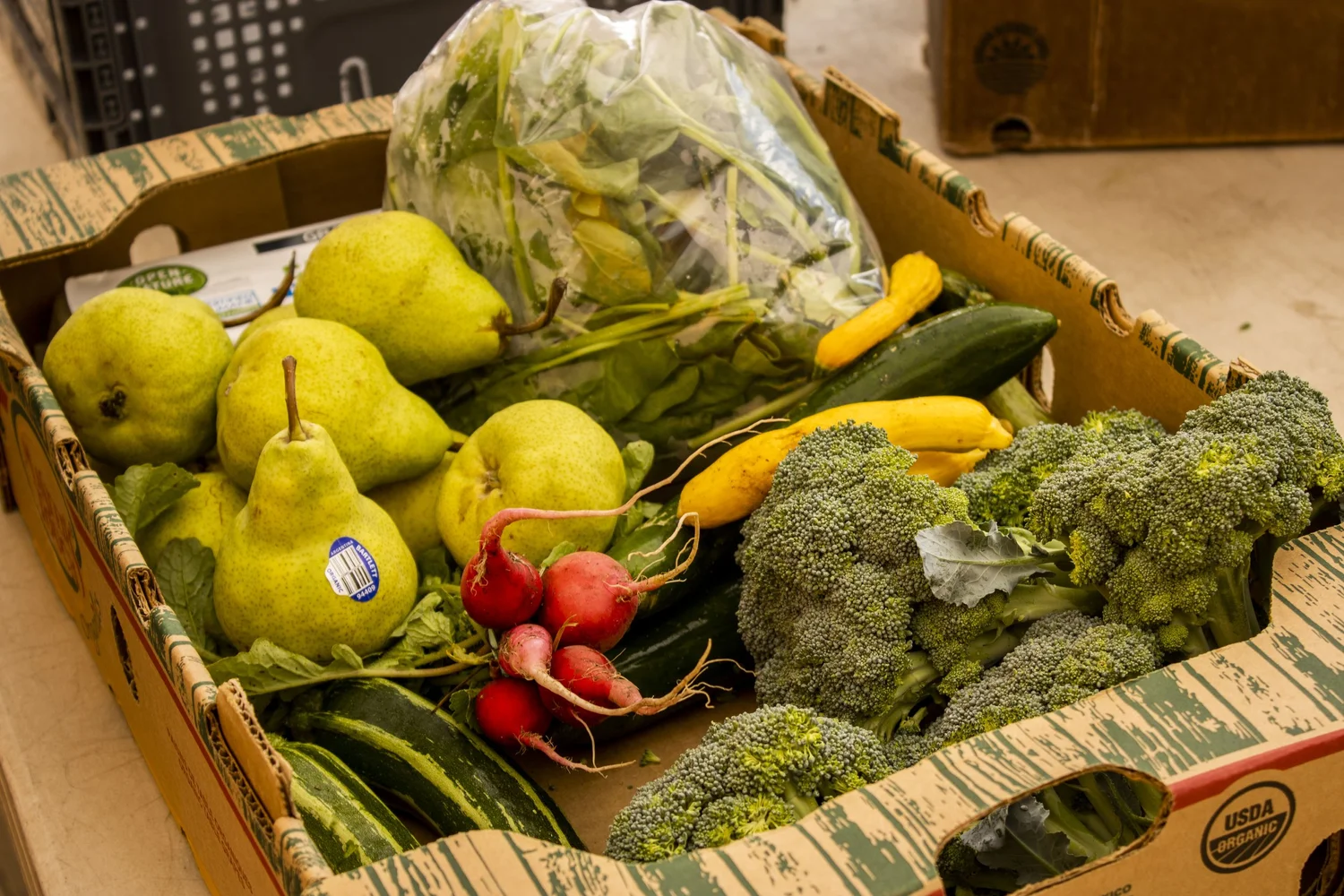 Our Story — Mountain Roots Food Project