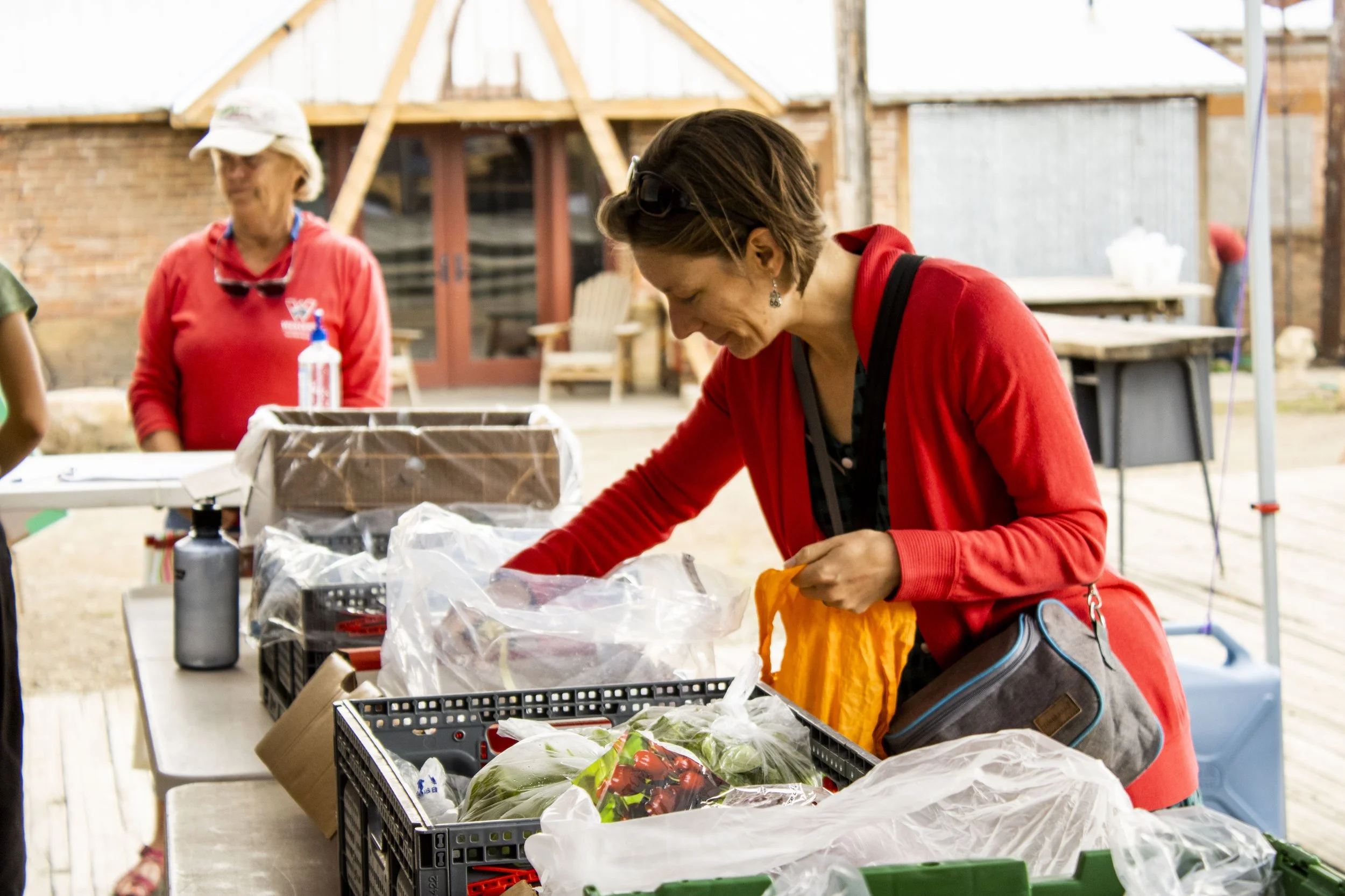 Mountain Roots Food Project