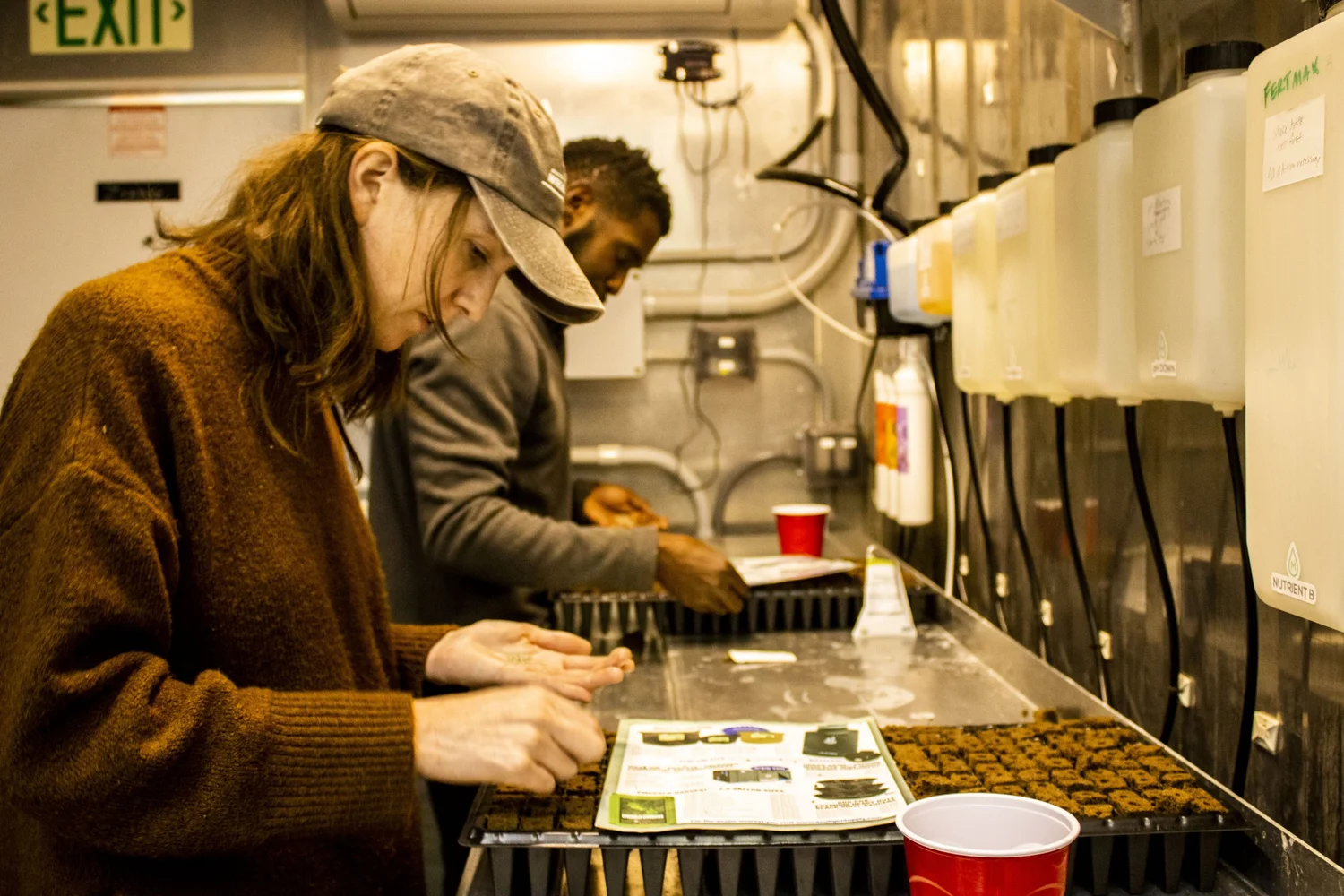 Beginning Farmer Training Program — Mountain Roots Food Project