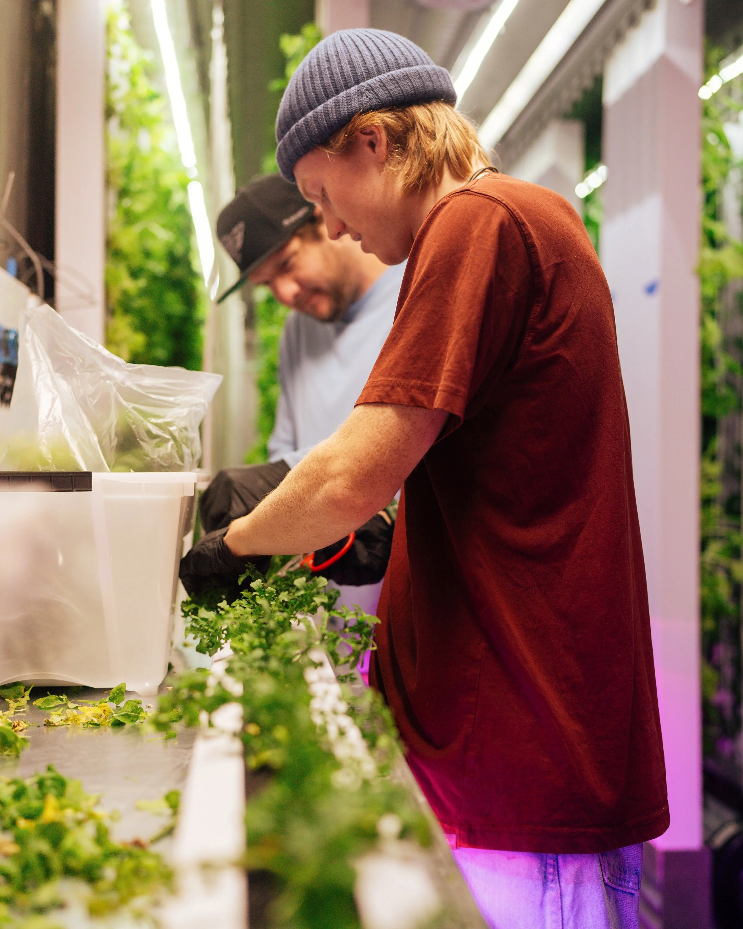 Join Our Team — Mountain Roots Food Project