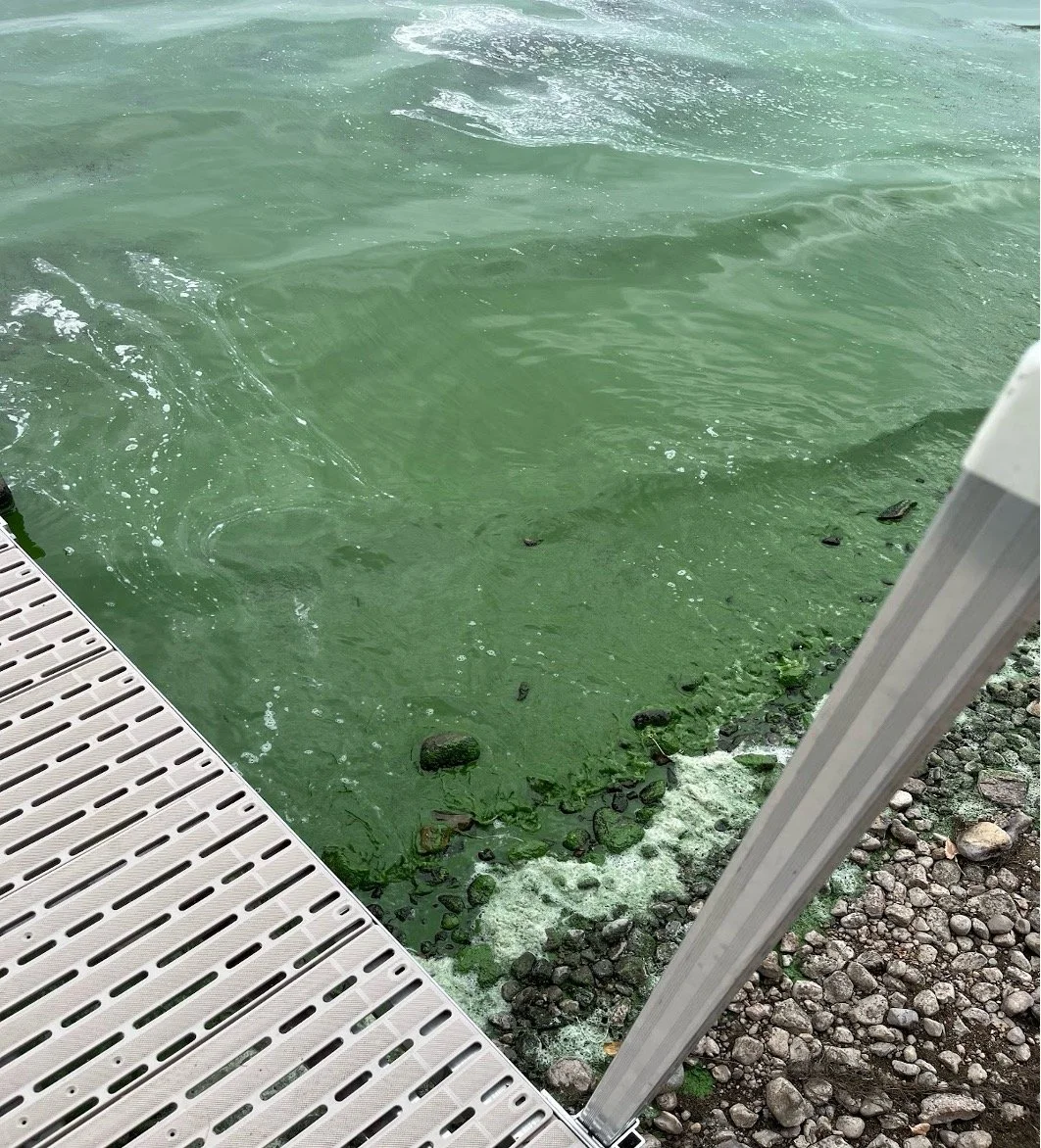 What the Watershed Means to Me: Lake Madison — Friends of the Big Sioux ...