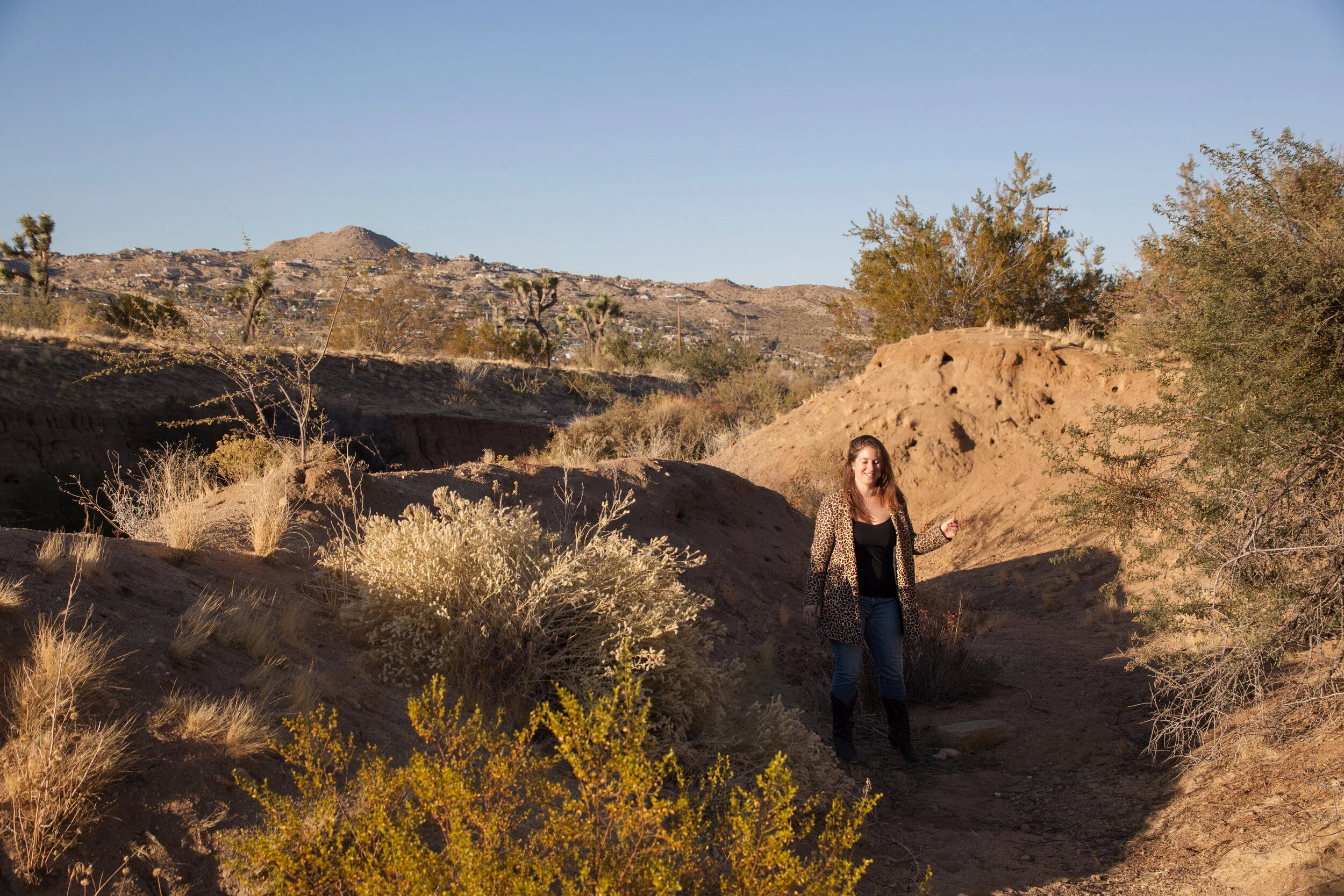 About Your Digital Expert — Corvi Creative