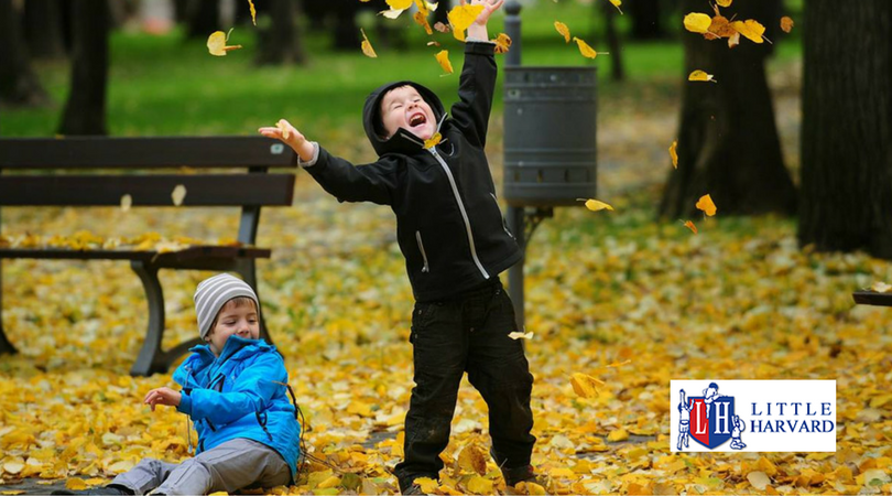 Autumn Home Activities for Kids | Little Harvard Crèche, Montessori and ...