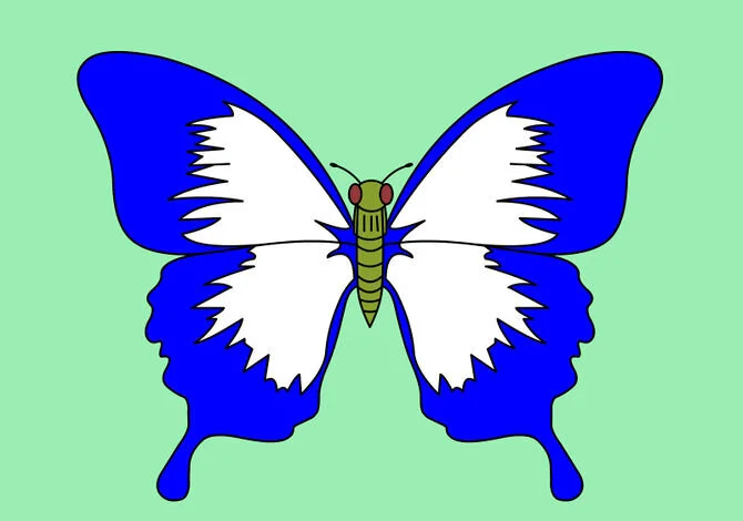 How To Draw A Butterfly | Little Harvard Crèche, Montessori and Pre-School