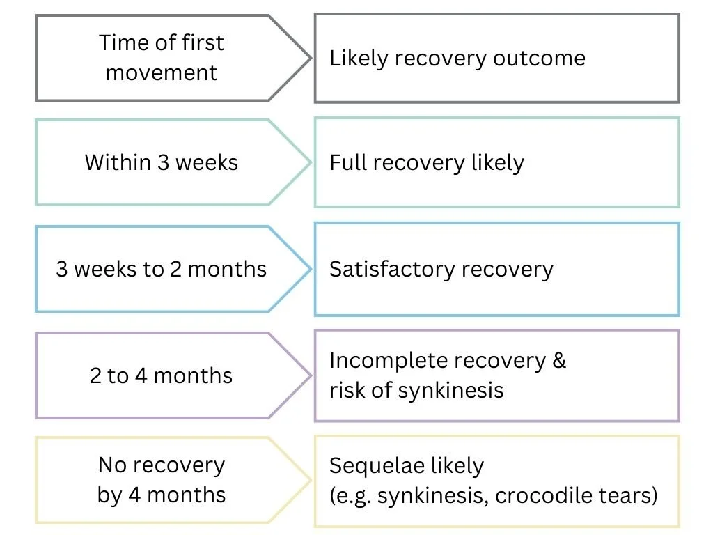 Vestibular Health — Understanding facial palsy (Bell’s palsy) recovery