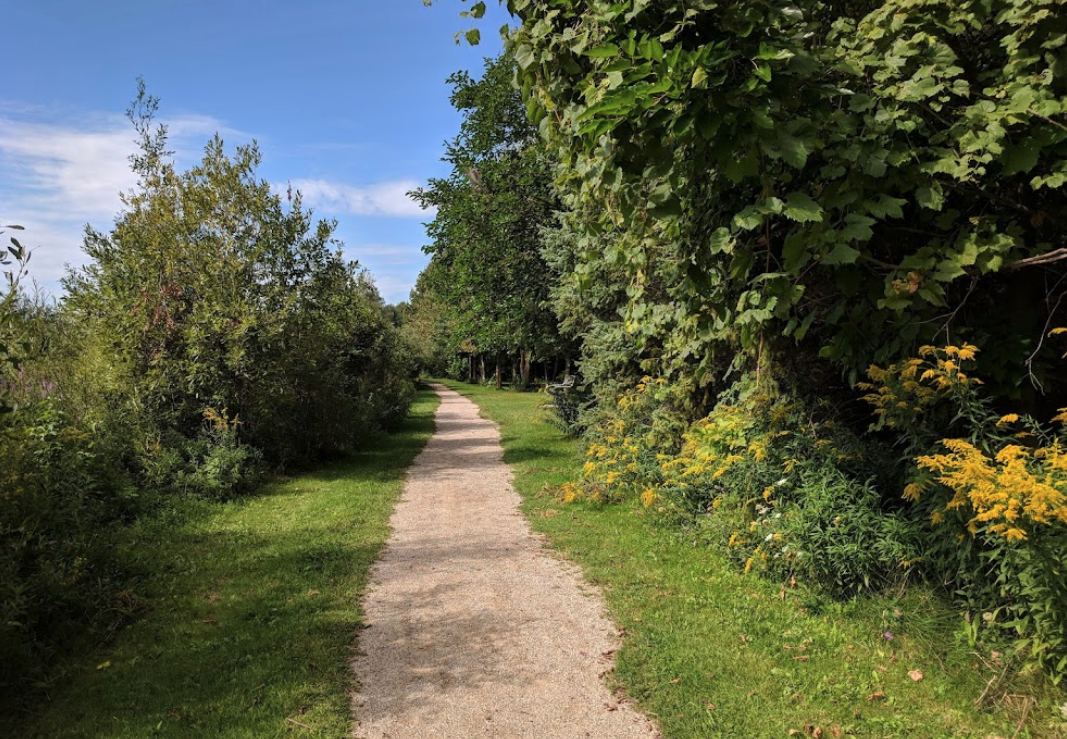 A Guide to living in Strathroy Ontario — Kim Boyer | Your Butler Realty