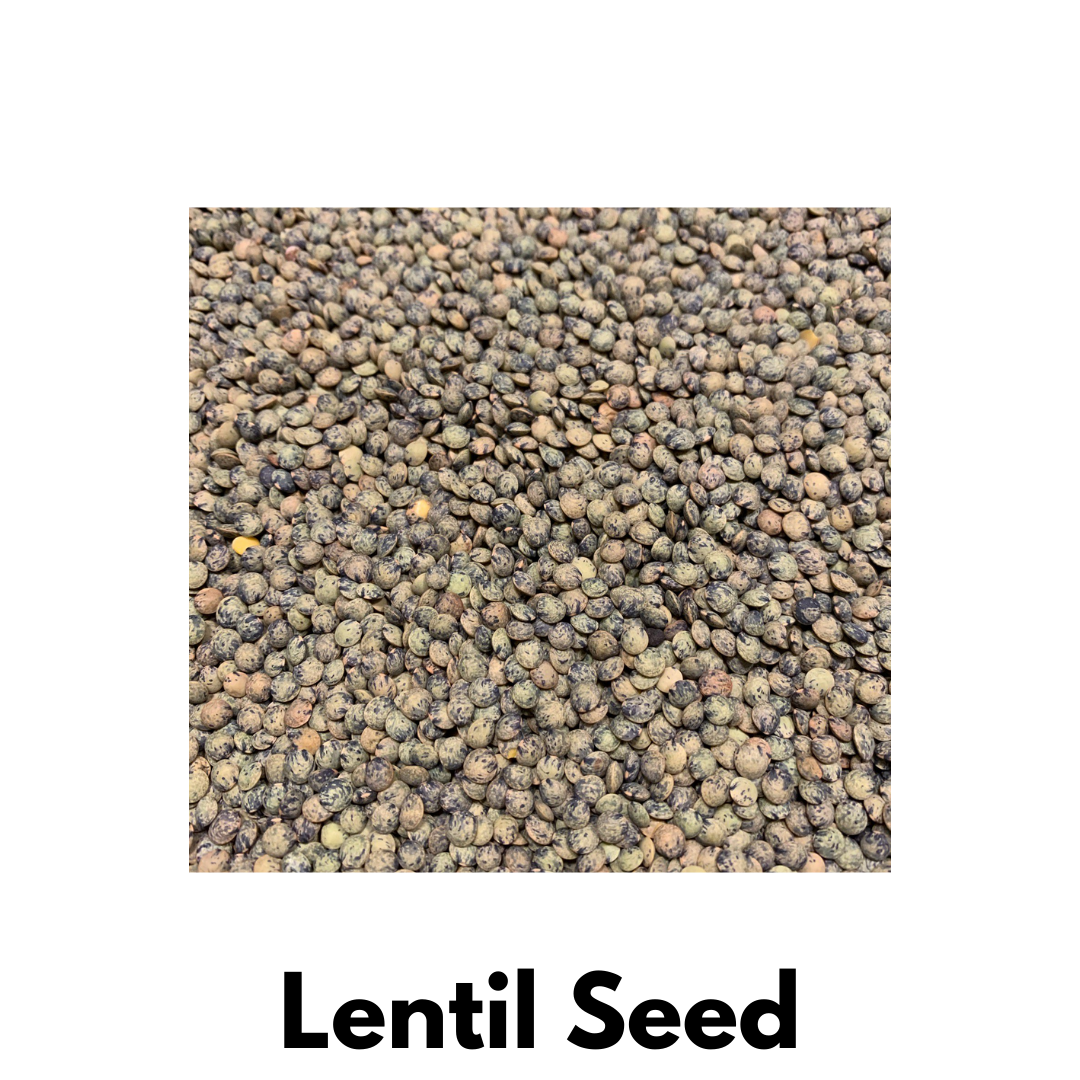 YAUCK SEED FARM