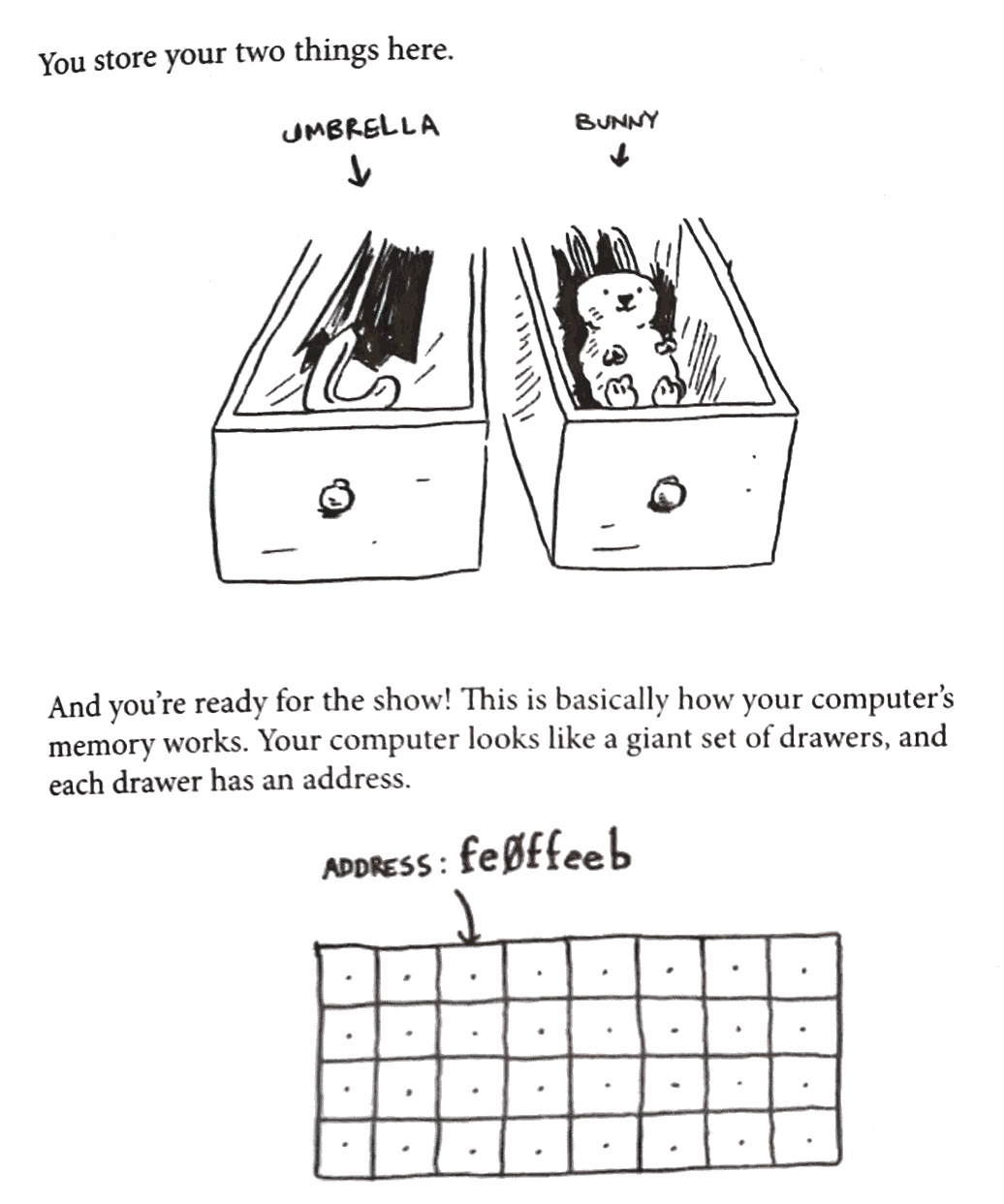 The Best Algorithm Book for Beginner Programmers [2023] — Books on Code