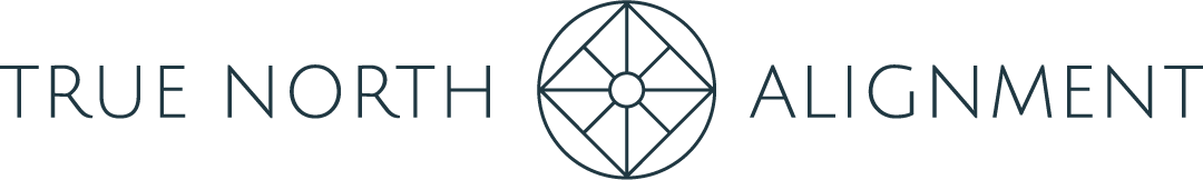 Multi-Dimensional Self TM (MDS) — True North Alignment