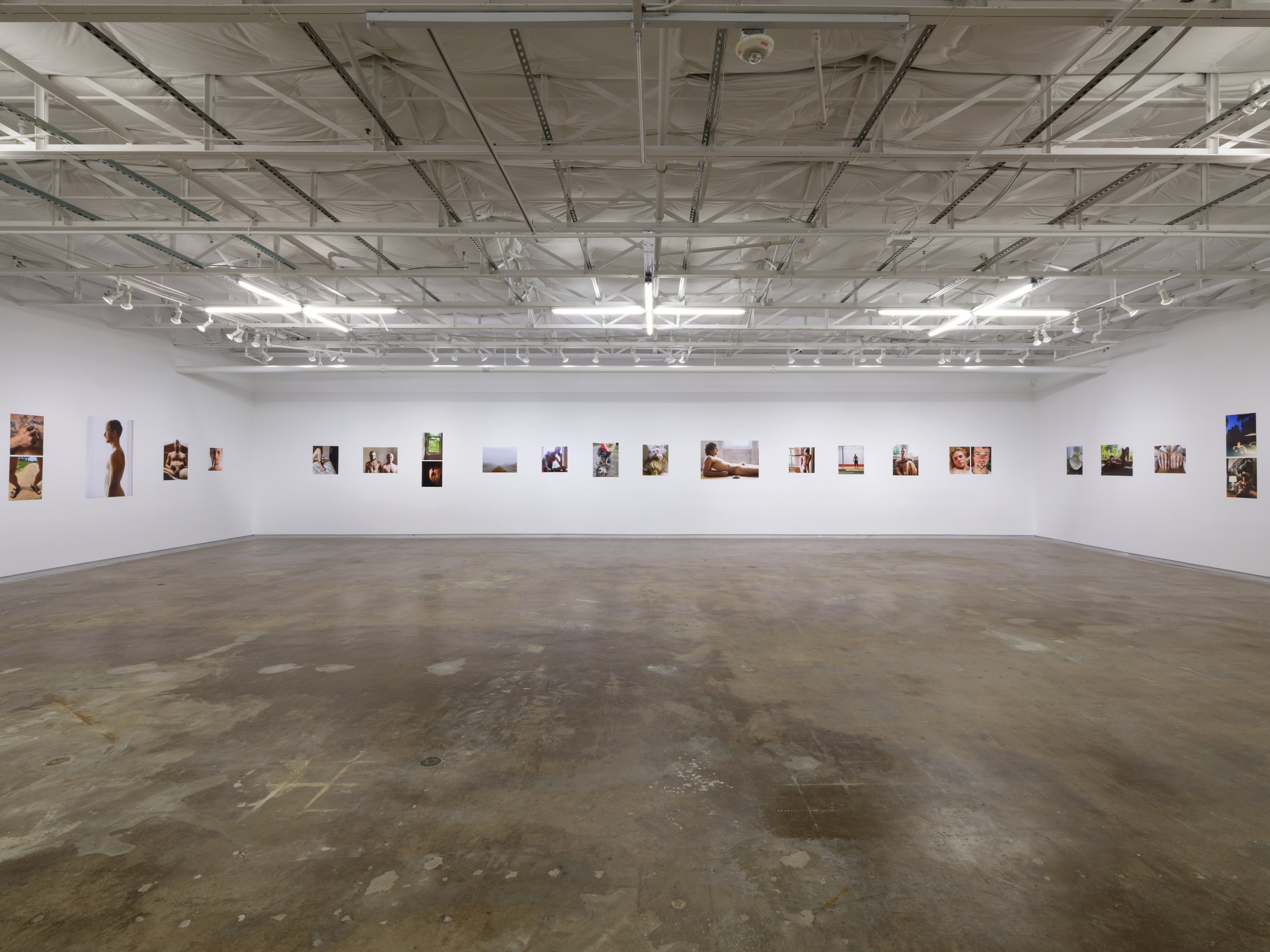 Chivas Clem: Shirttail Kin — DALLAS CONTEMPORARY