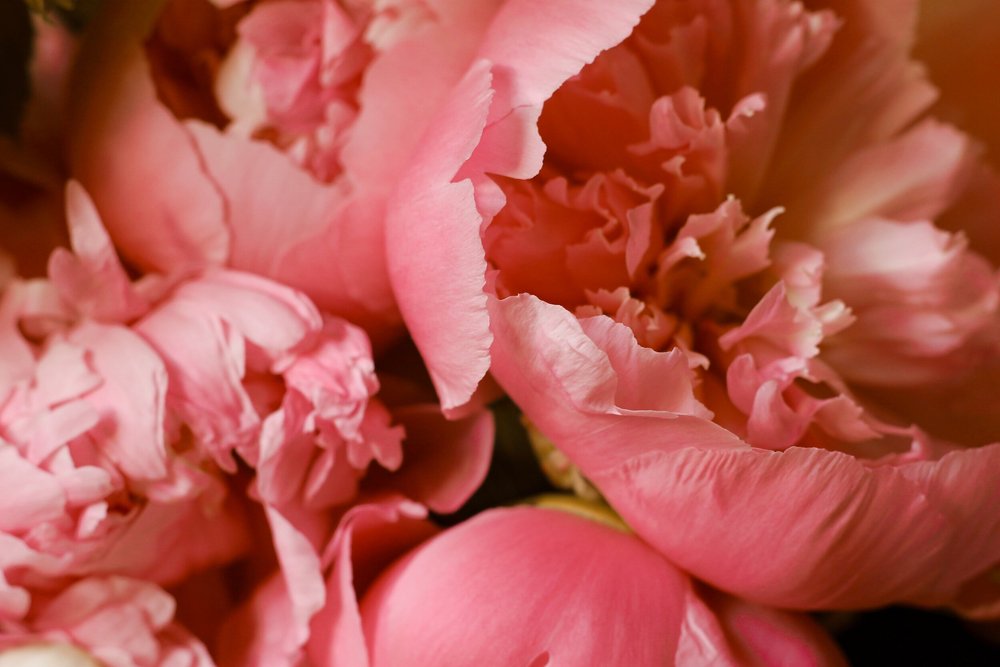 Your Operation Dr Susannah Graham Sydney Breast Cancer Surgeon your-operation-dr-susannah-graham-sydney-breast-cancer-surgeon