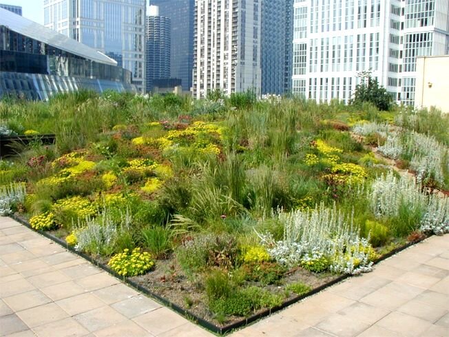 Extensive Green Roof Design