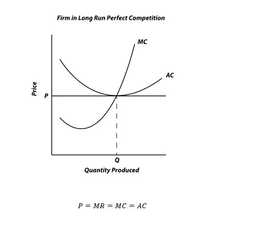 Firm Level Price Determination: A Comparison of Theories (Perfect ...