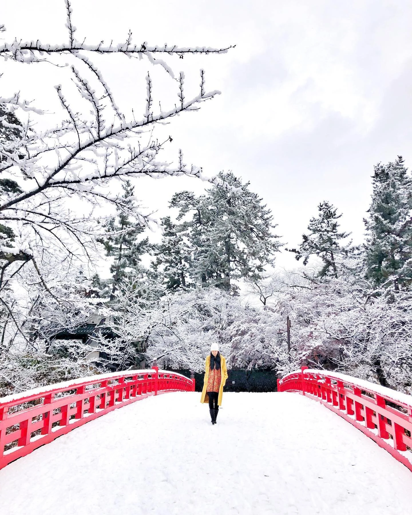 RYOKAN WANDERINGS | 旅館の放浪