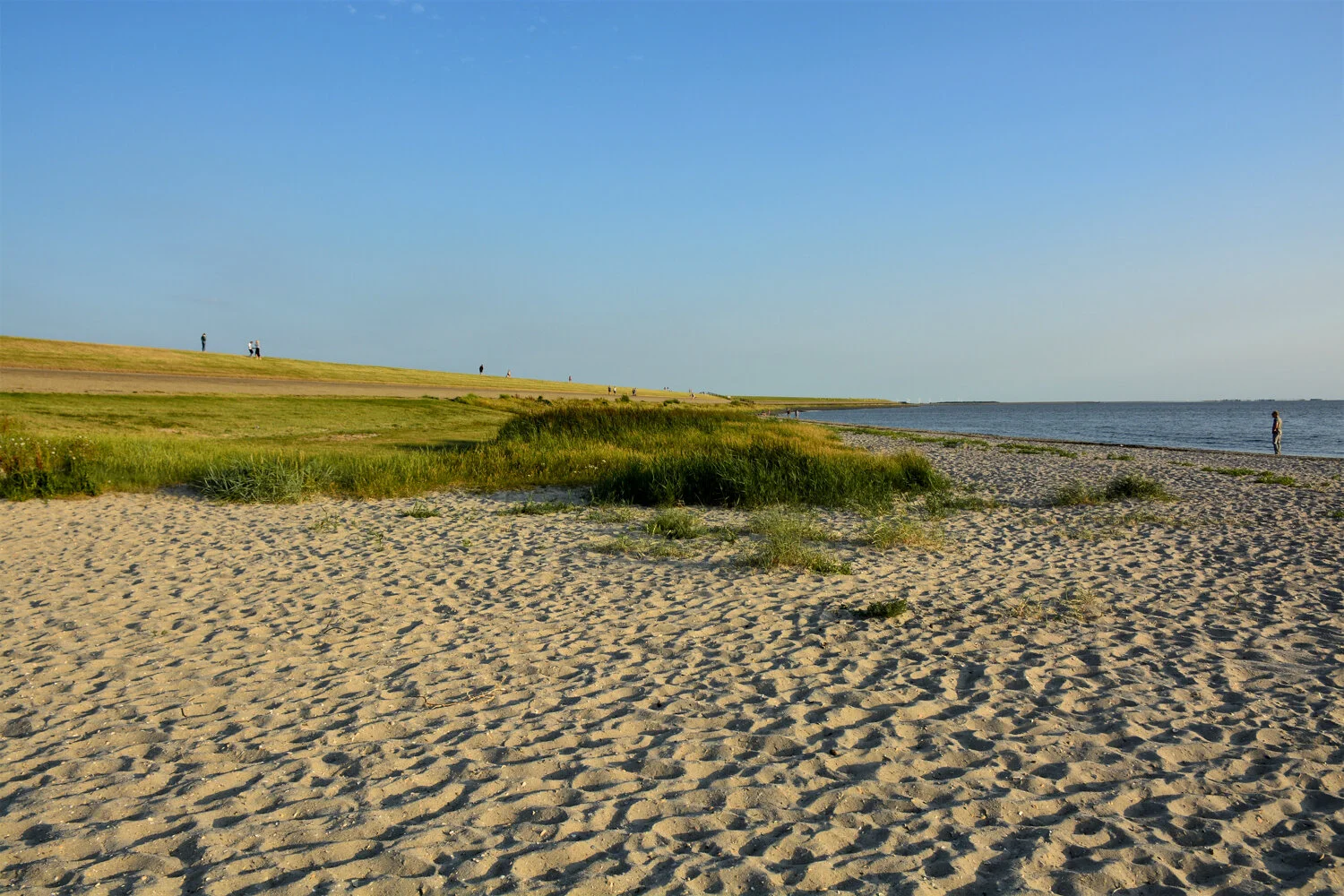 Harlingen Garden Appartement | Heerlijk relaxen en genieten in Friesland