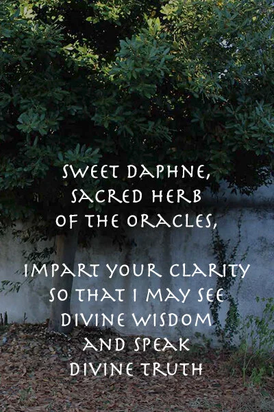 Daphne and Apollo — Mira Karakitsou