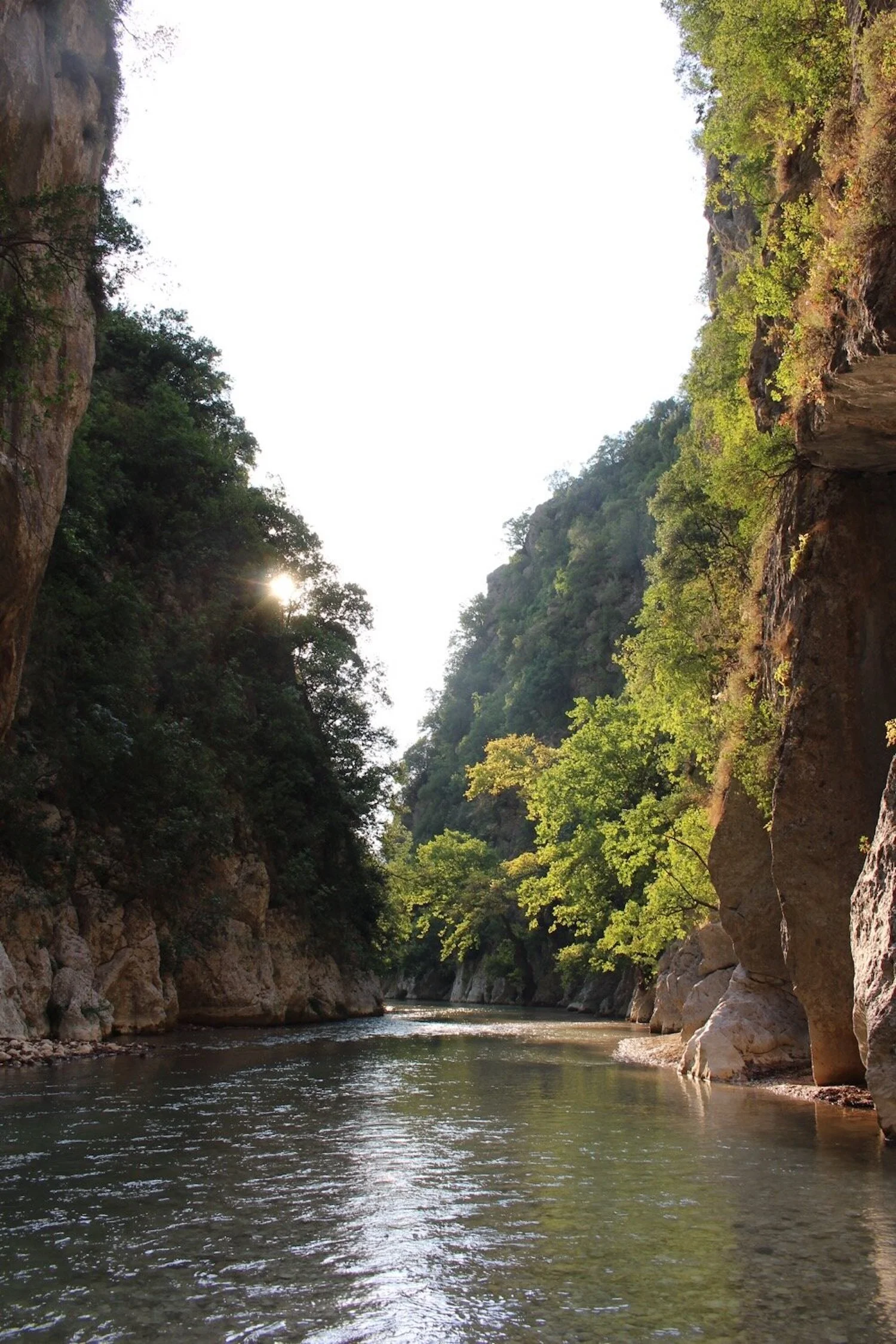 The Naiads: Freshwater Nymphs — Mira Karakitsou