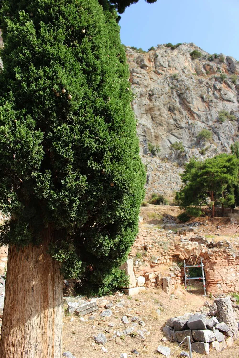 The Oracle of Delphi and the Corycian Cave — Mira Karakitsou