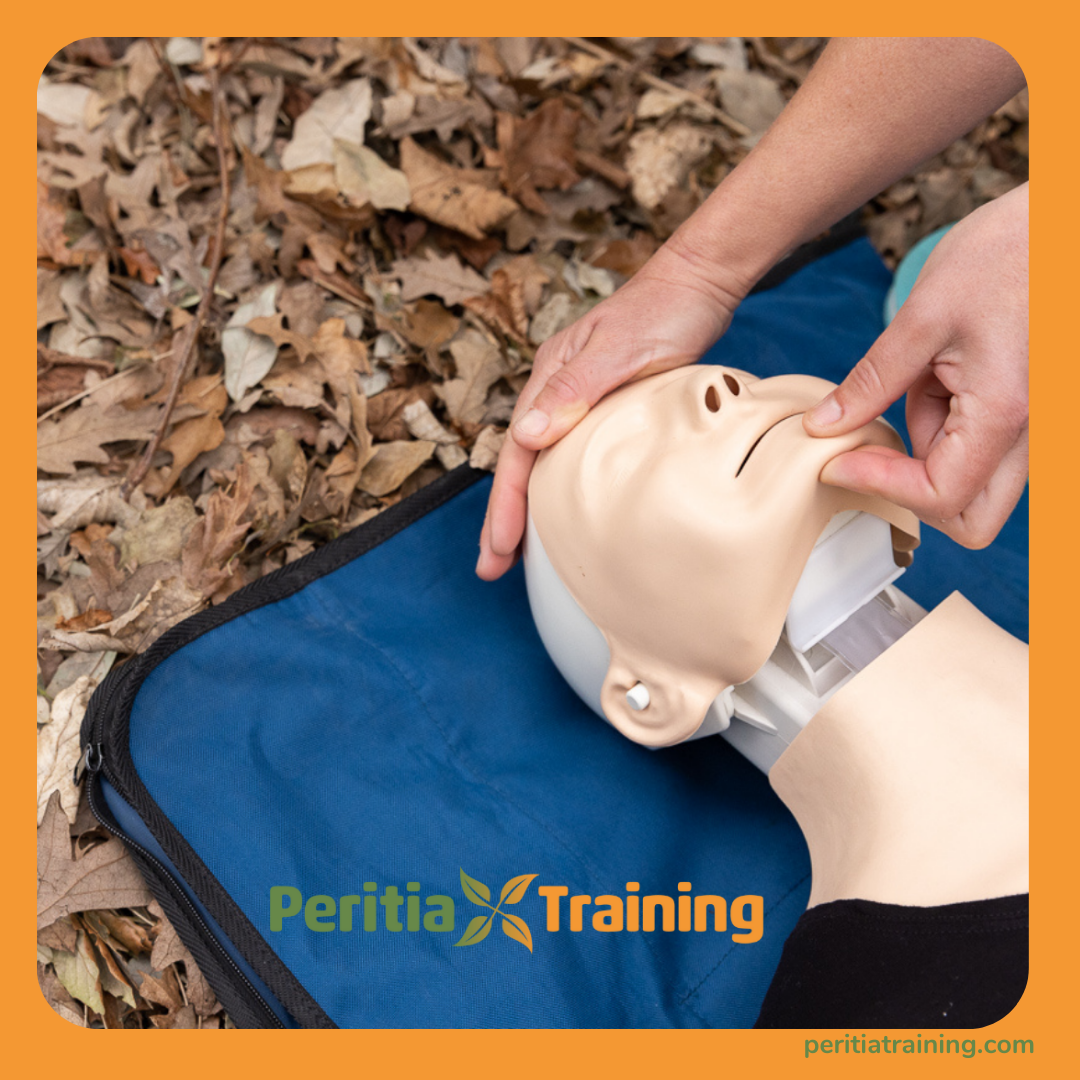 Peritia Training