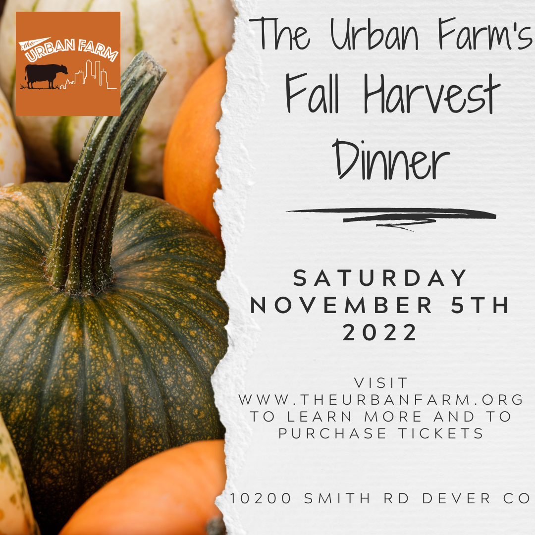 Harvest Dinner — The Urban Farm
