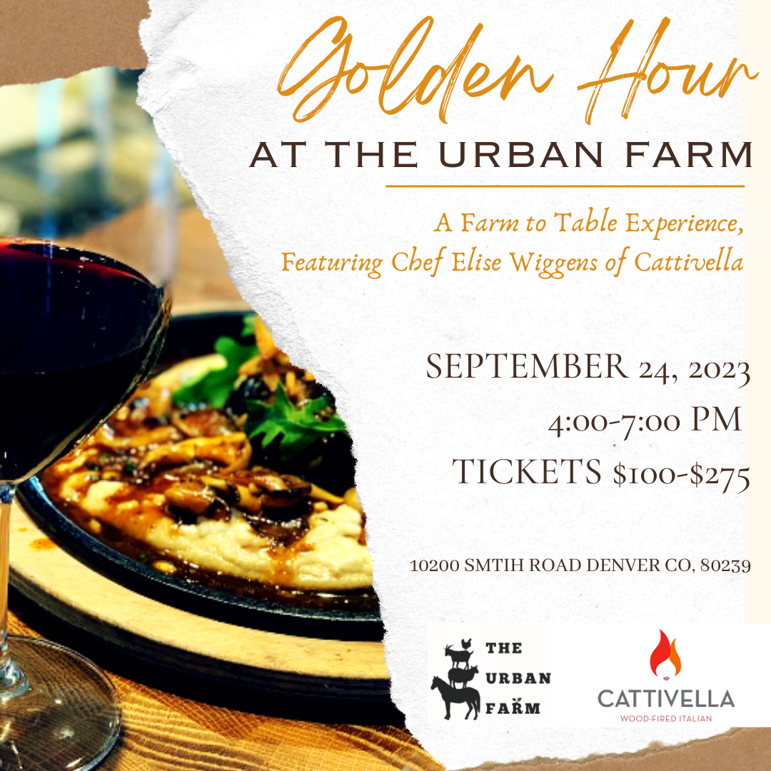 Golden Hour Farm to Table Dinner - September 24th — The Urban Farm