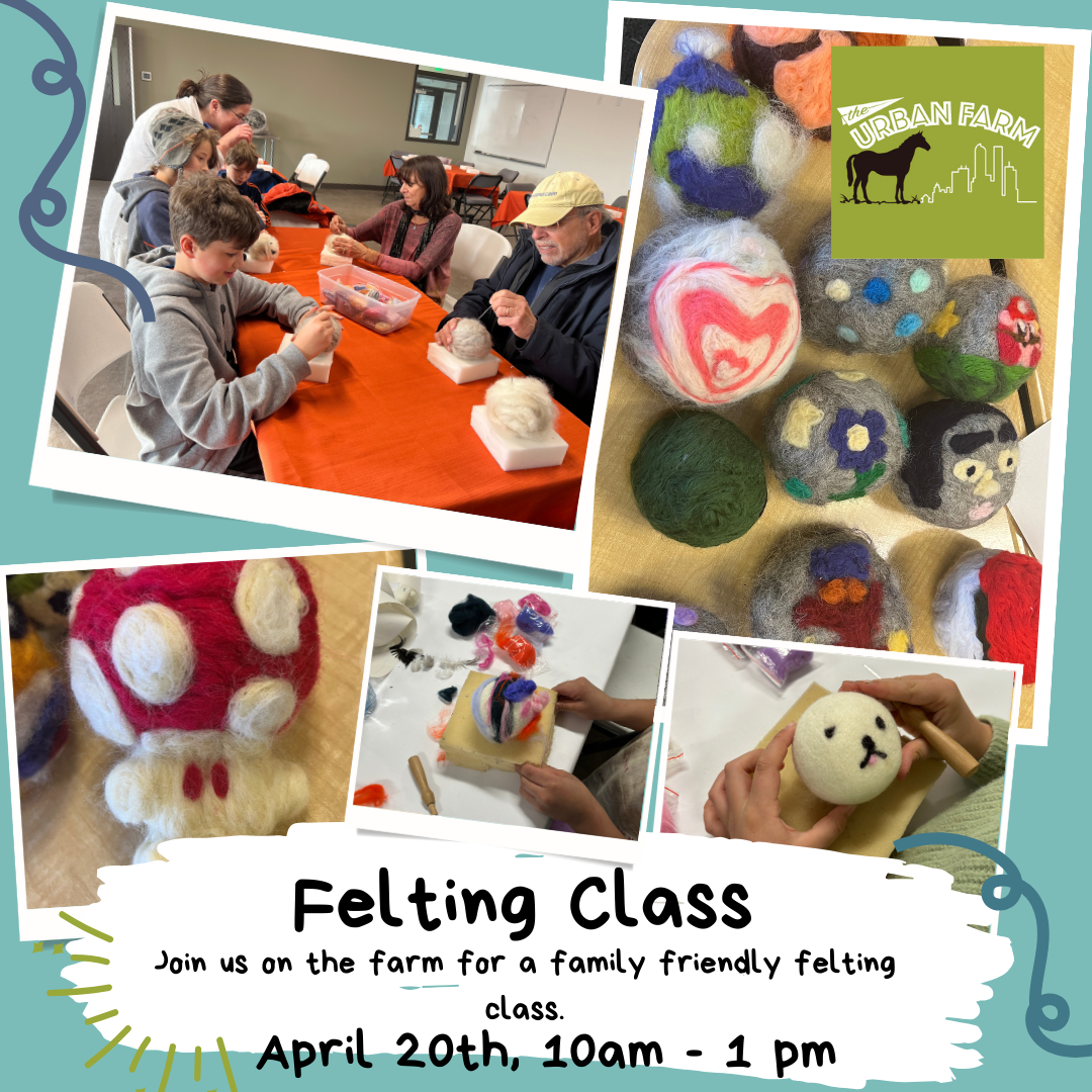 Felting Workshop — The Urban Farm
