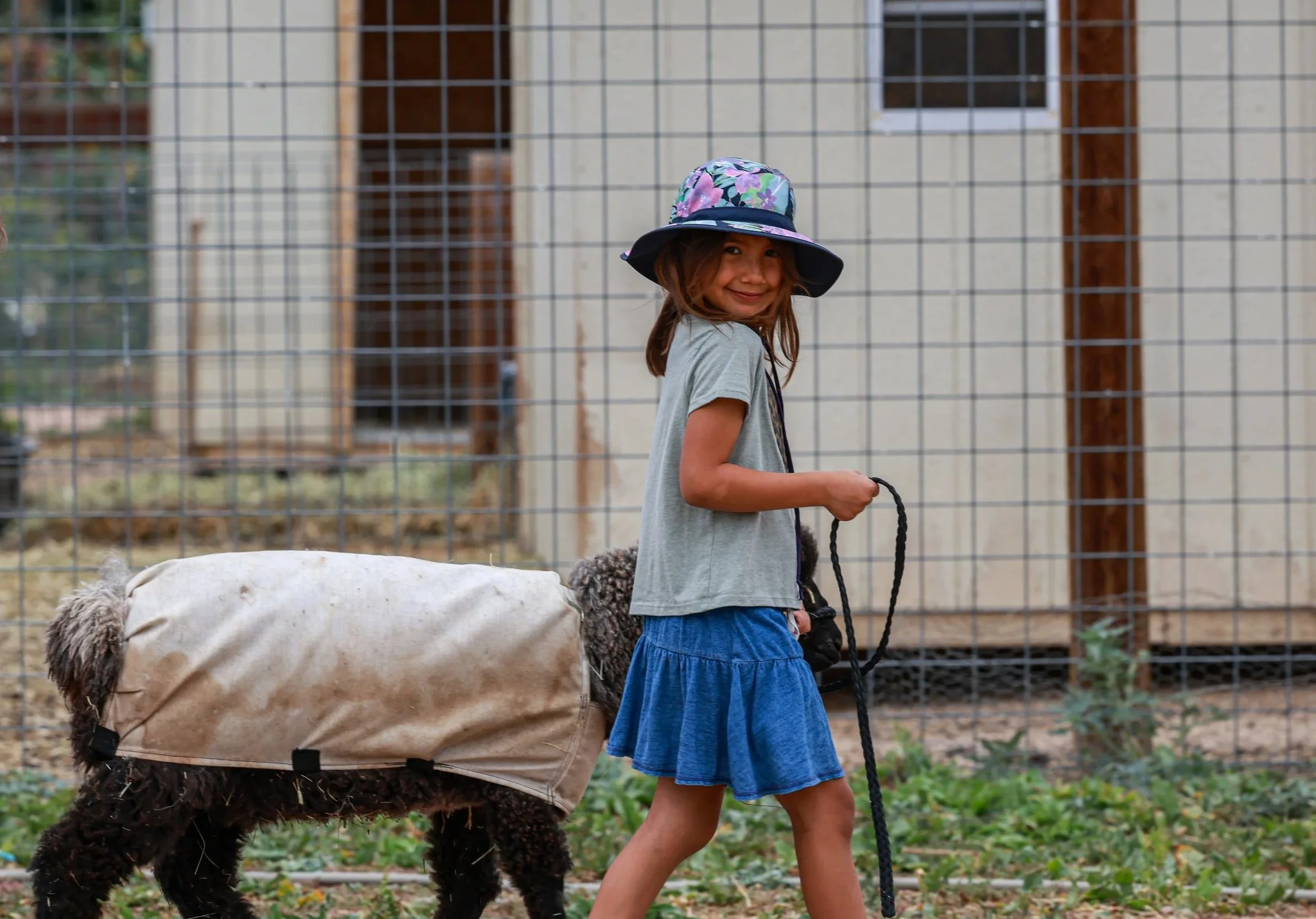 The Urban Farm