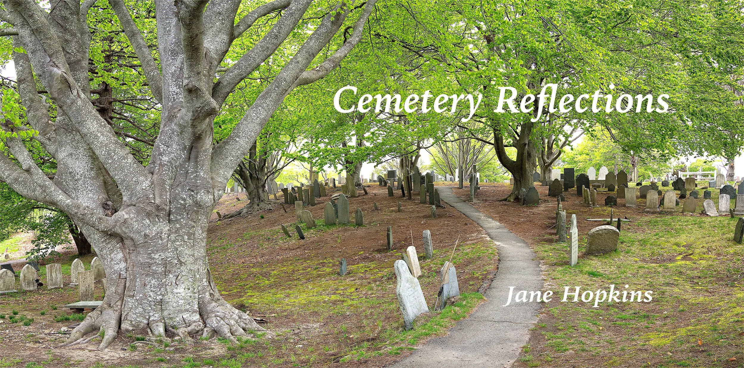 Cemetery Reflections