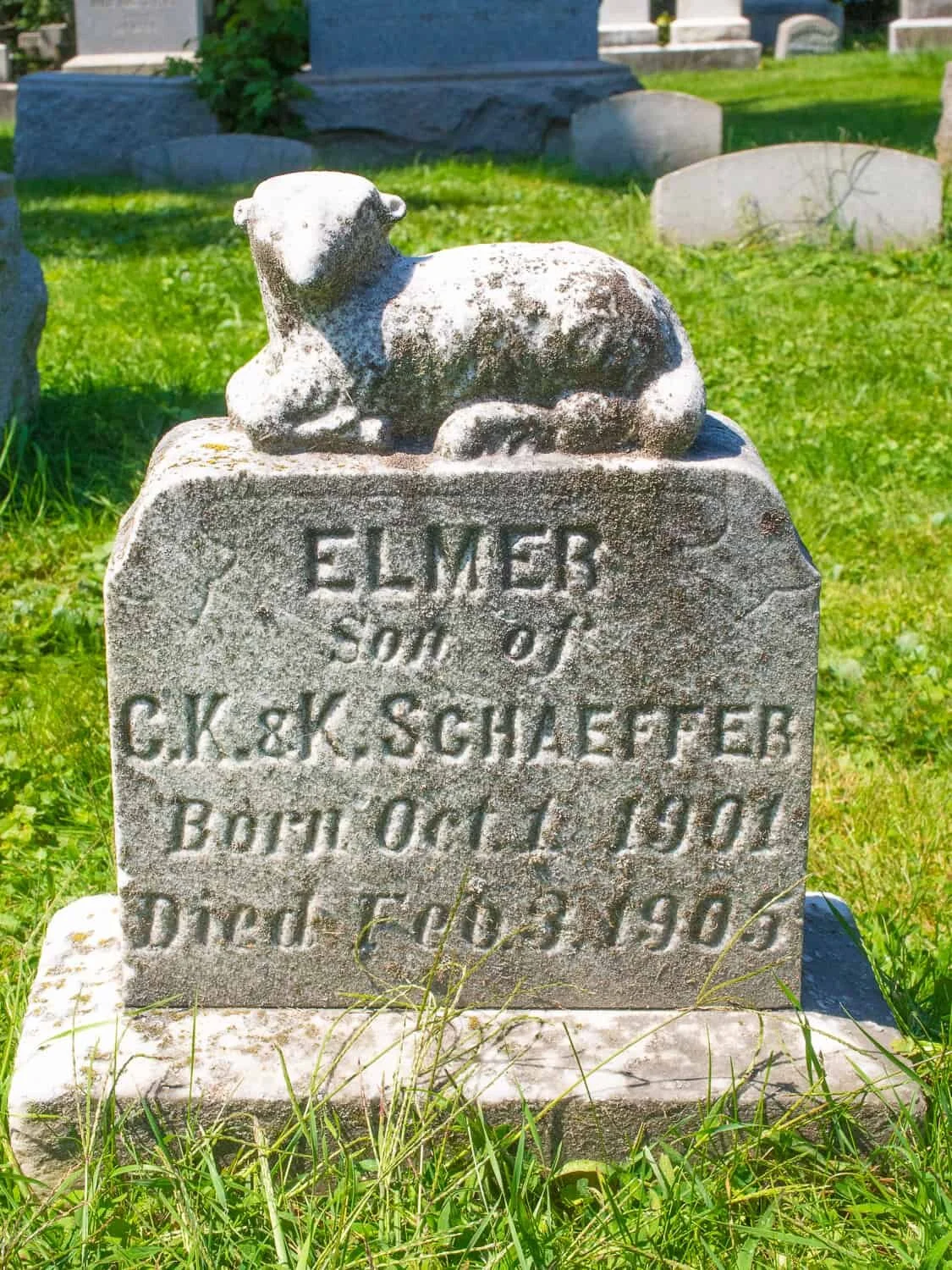 Epitaphs Through Time — Jane Hopkins Photography