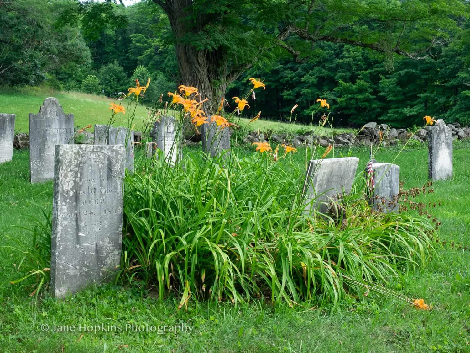 Pandemic Reflections #3 — Cemetery Reflections